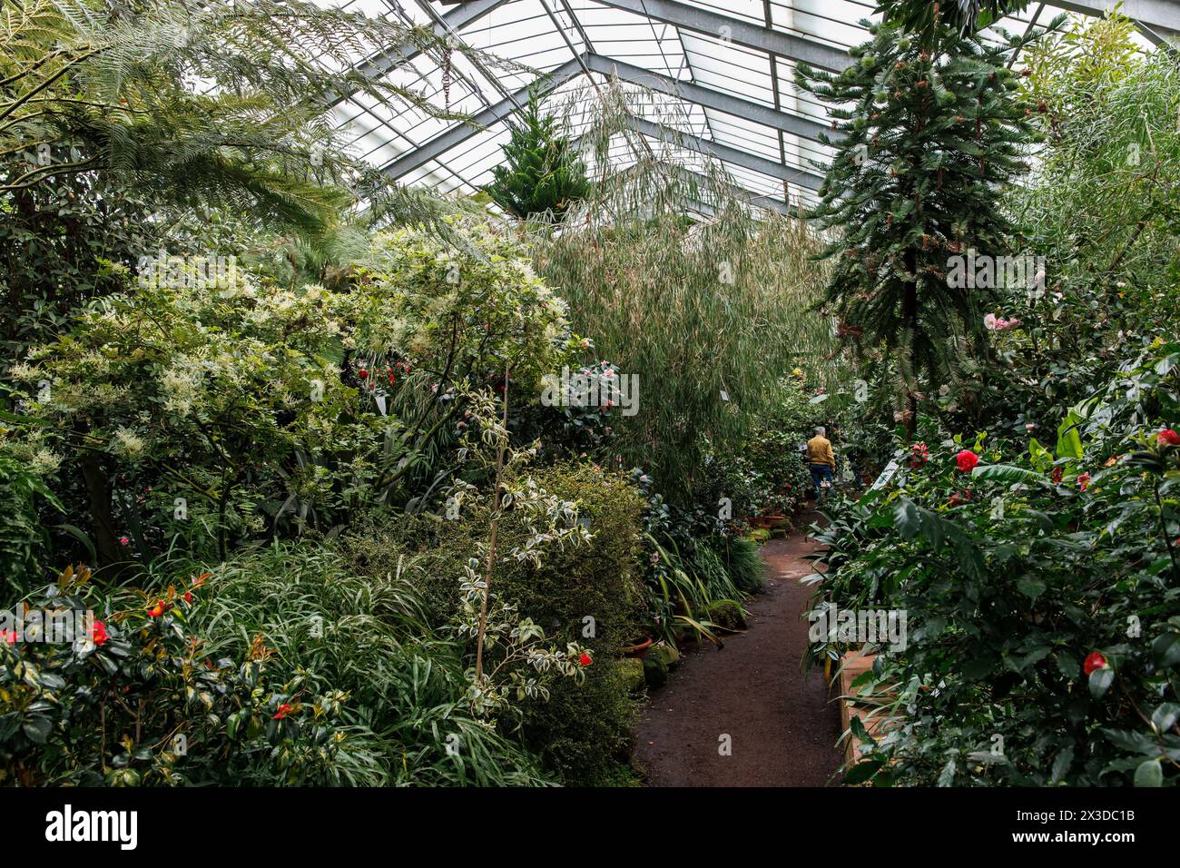 a greenhouse in the Flora, Botanical Garden, Cologne, Germany ...