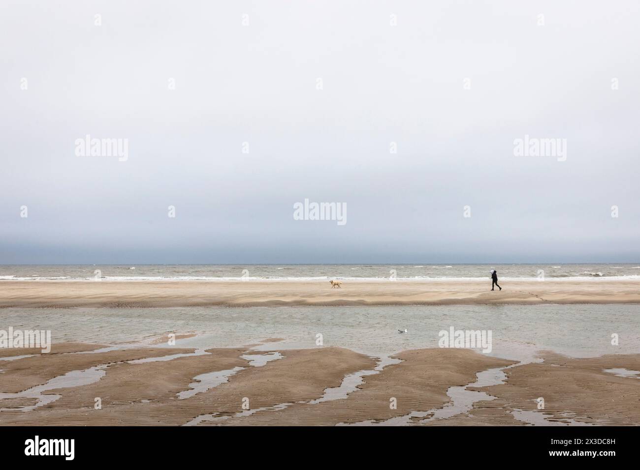 a tidal flat channel at the beach in Oostkapelle on the peninsula ...