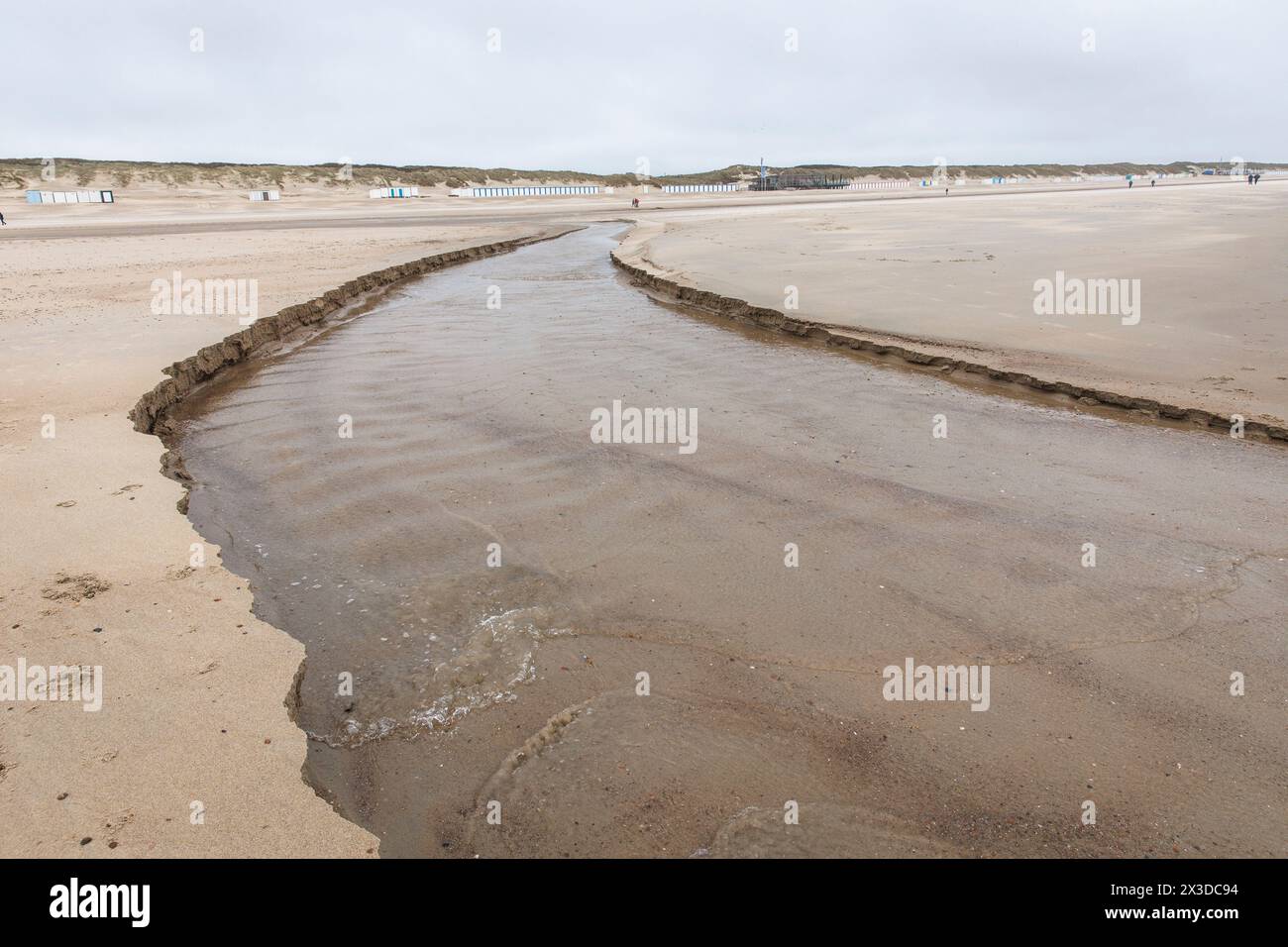 a tidal flat channel at the beach in Oostkapelle on the peninsula ...