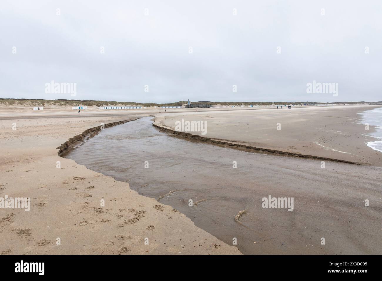a tidal flat channel at the beach in Oostkapelle on the peninsula ...