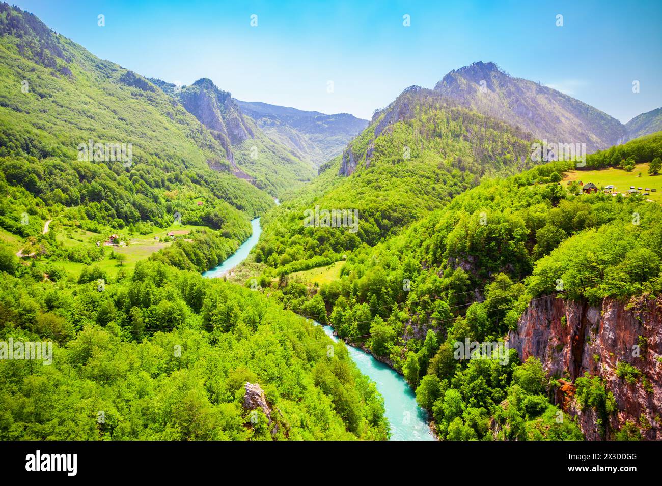 Tara river canyon in Durmitor National Park in Montenegro Stock Photo ...
