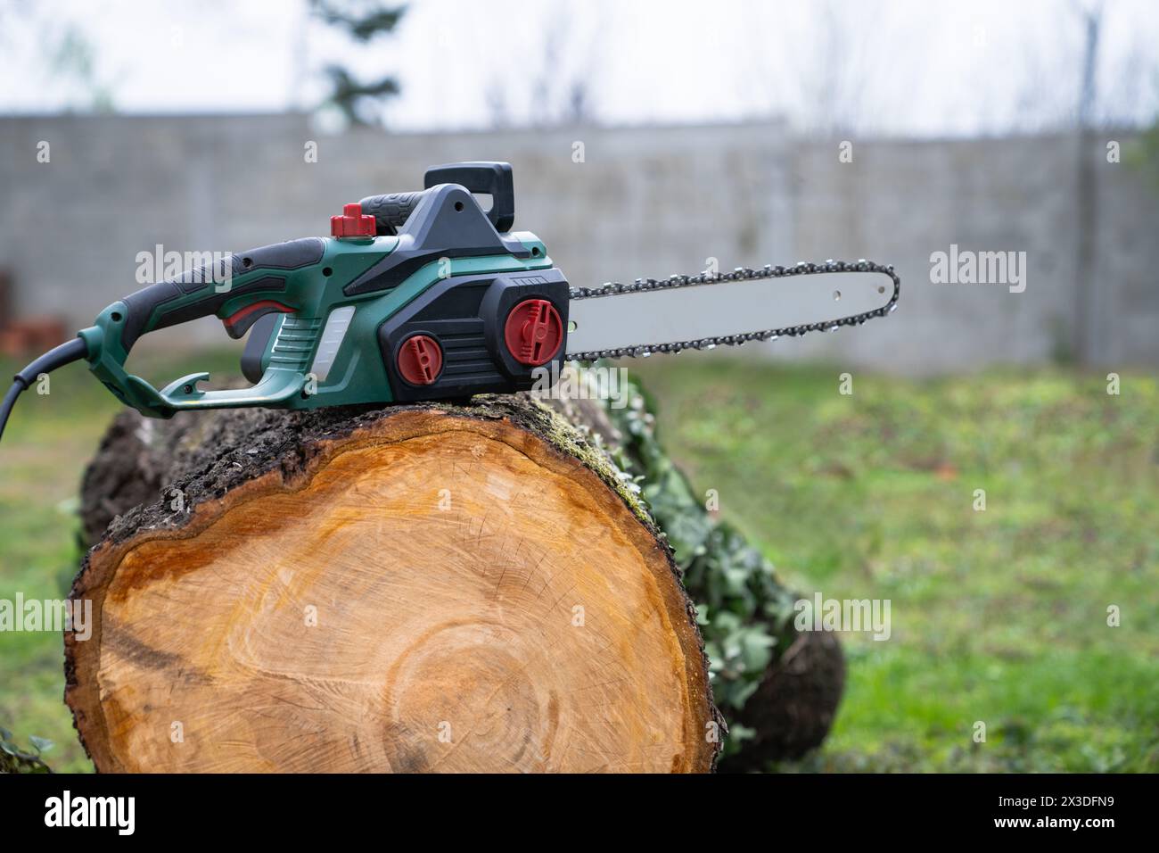 Electric saw on an old tree in the yard Stock Photo - Alamy