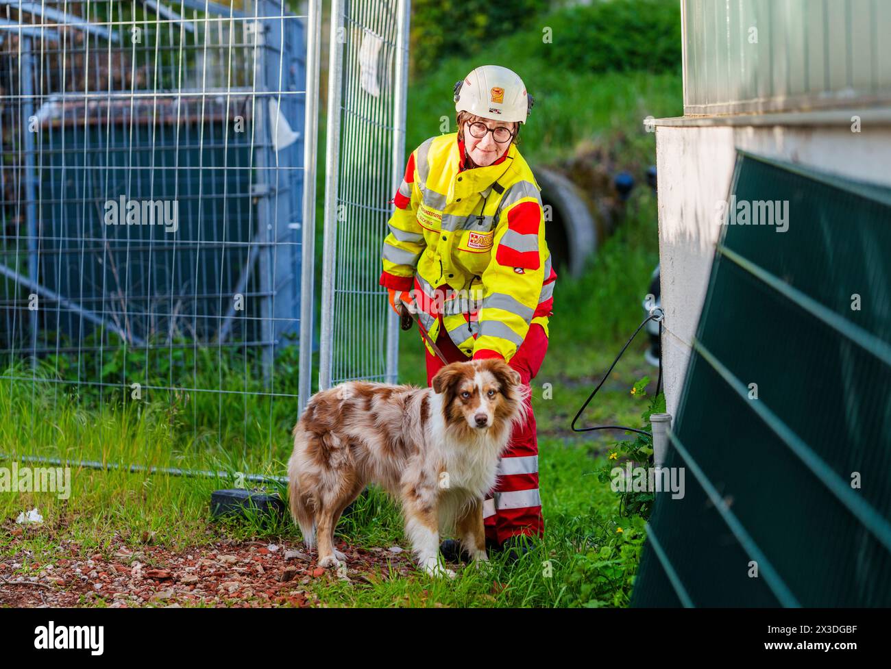 Rescue workers trained dog hi-res stock photography and images - Alamy