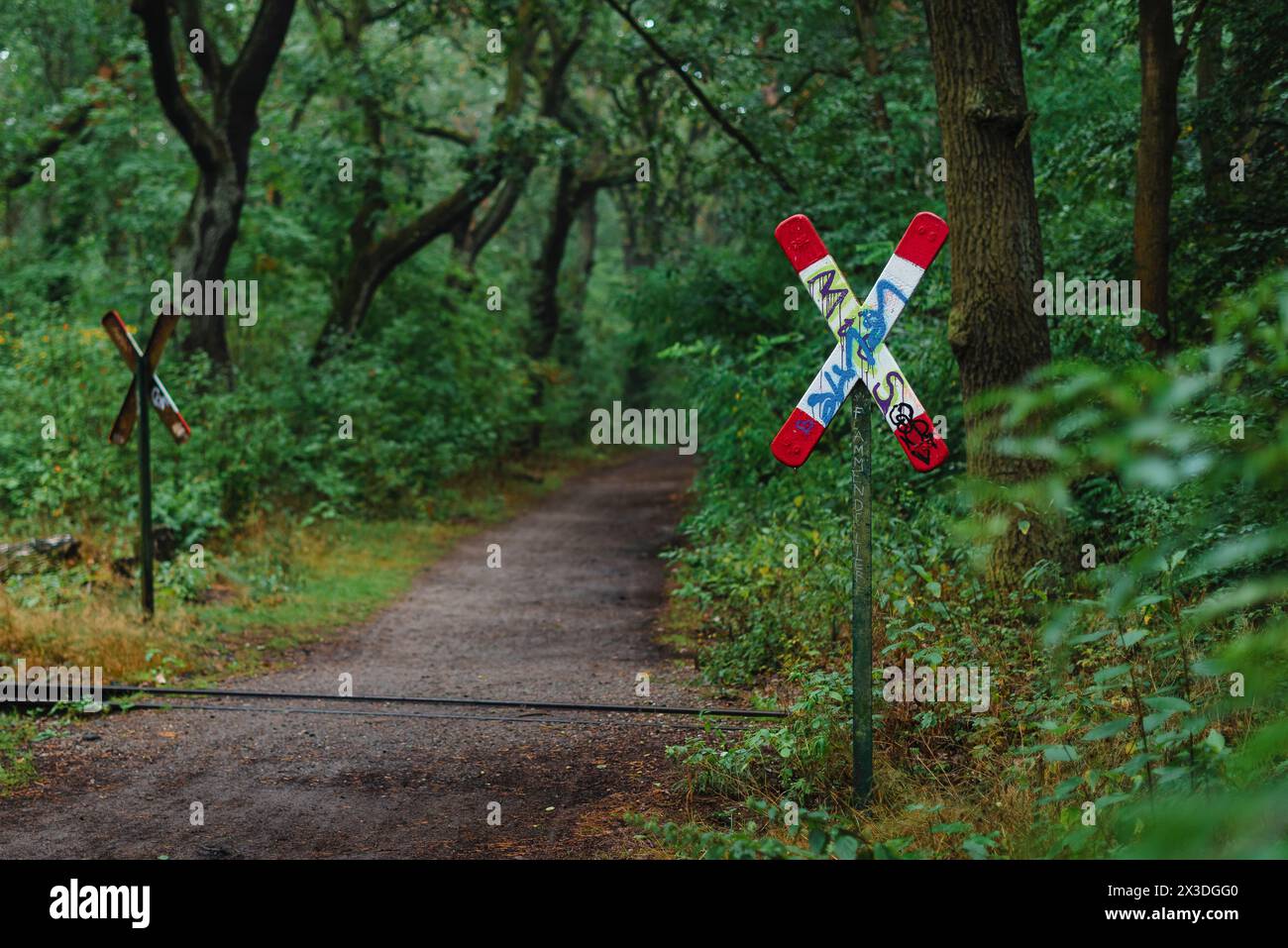 A railway crossing in the forest, St. Andrew's Cross in the forest ...