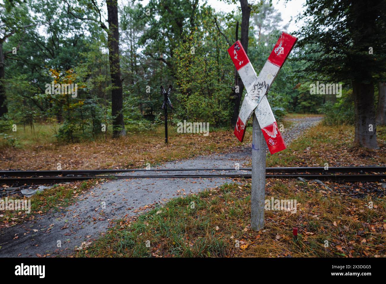A railway crossing in the forest, St. Andrew's Cross in the forest ...