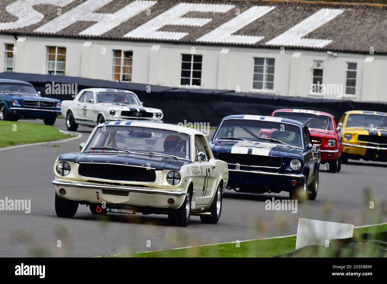 Fred Shepherd, Timo Bernhard, Ford Mustang, Ken Miles Cup, a two driver ...