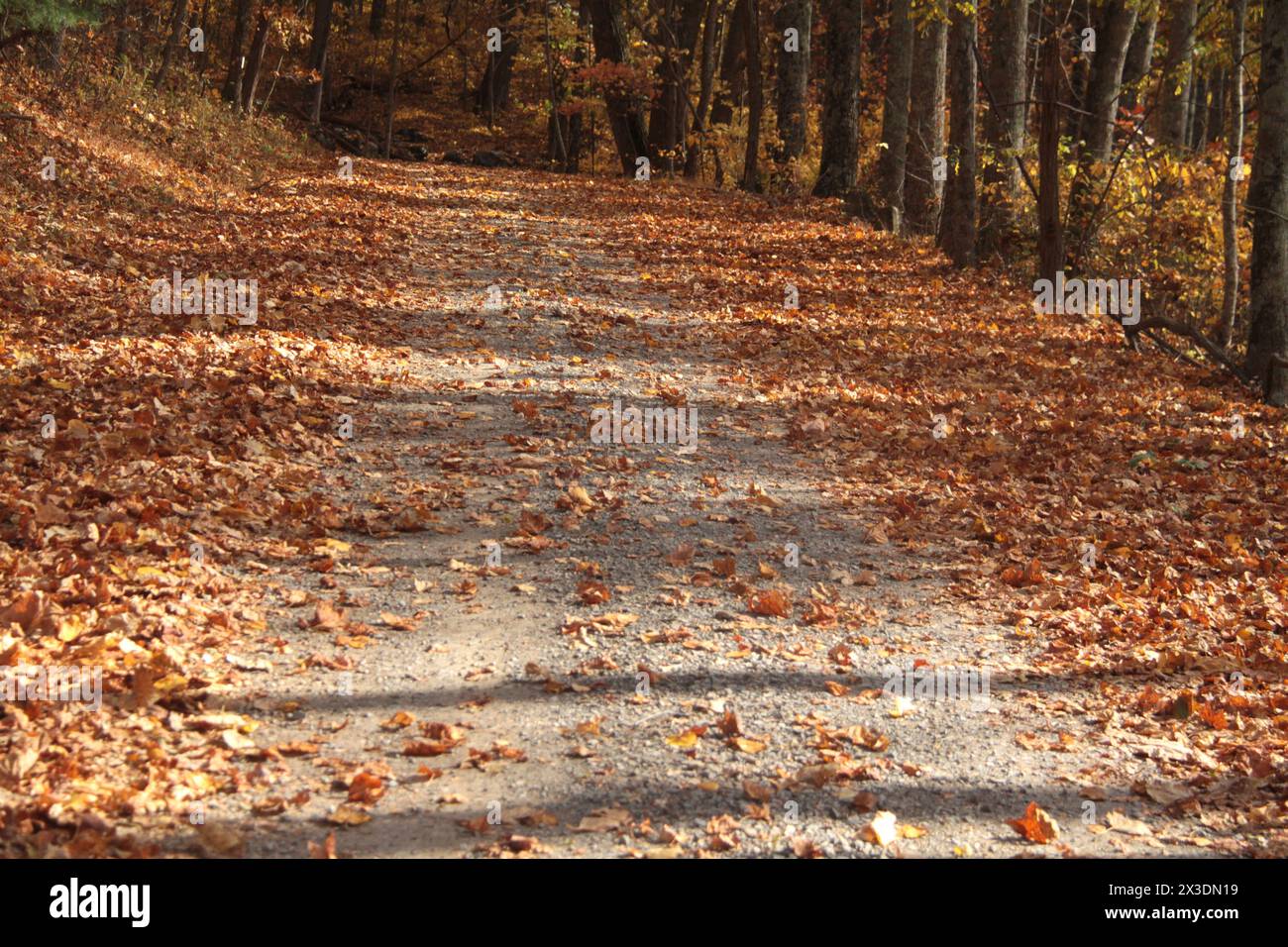 Driving on gravel path road hi-res stock photography and images - Alamy