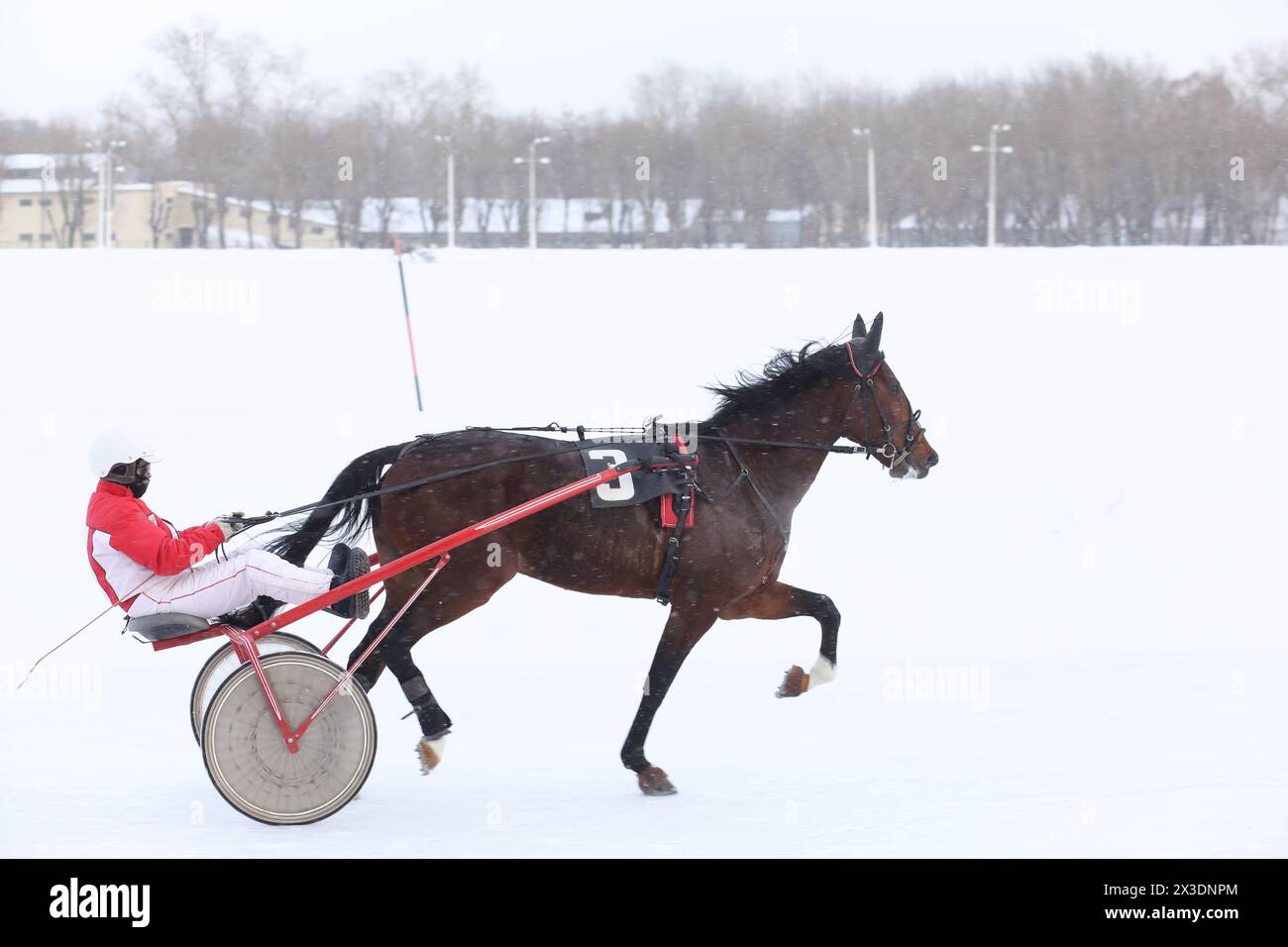 Gaming competitions hi-res stock photography and images - Alamy