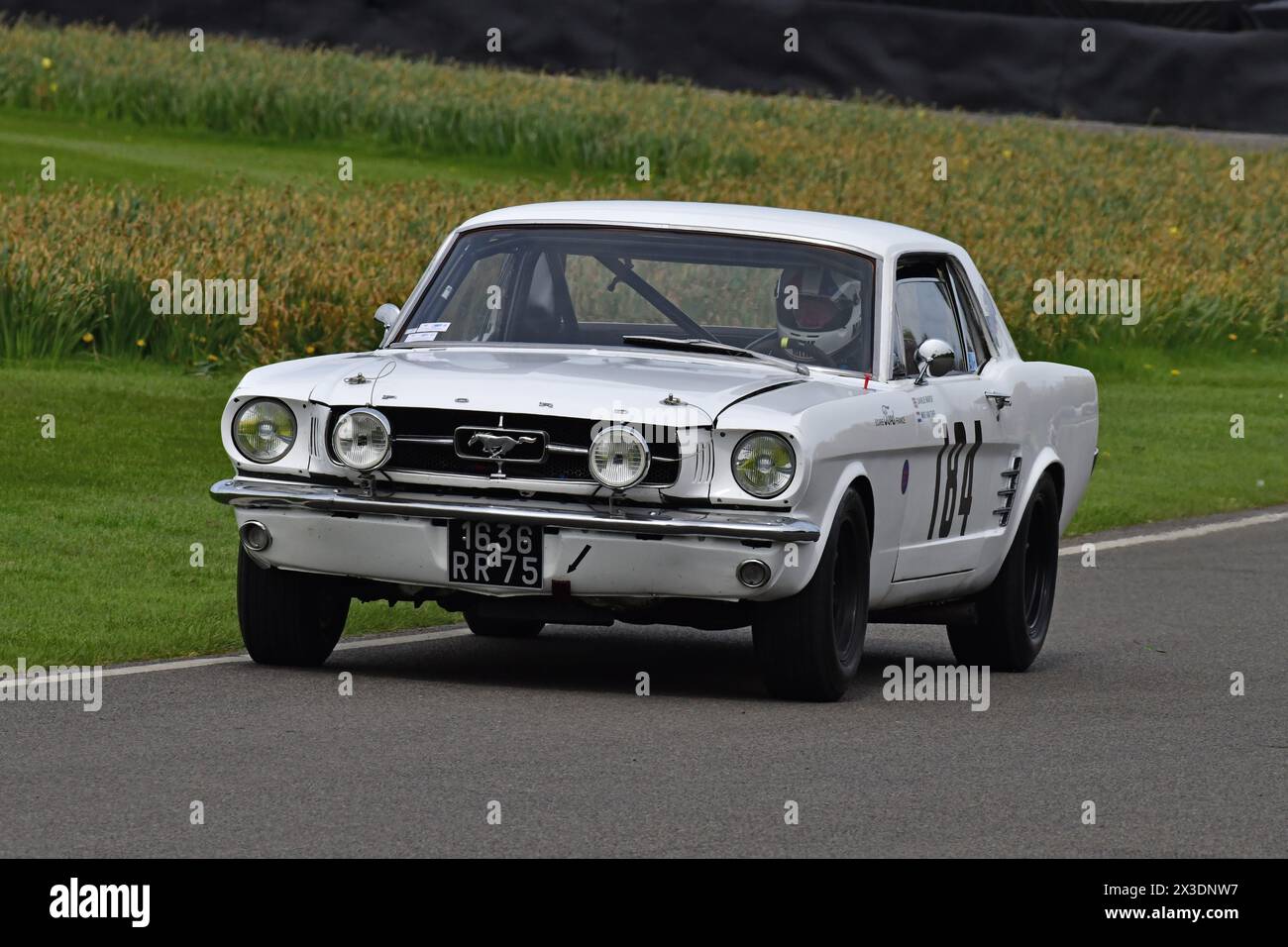 Michael van thiel hi-res stock photography and images - Alamy