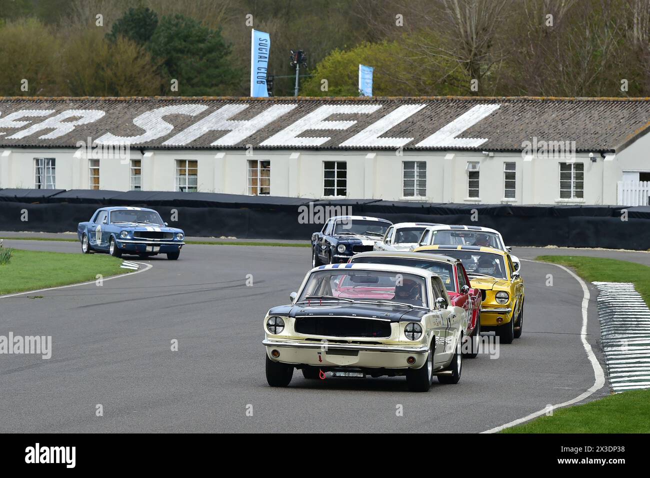 Fred Shepherd, Timo Bernhard, Ford Mustang, Ken Miles Cup, a two driver ...