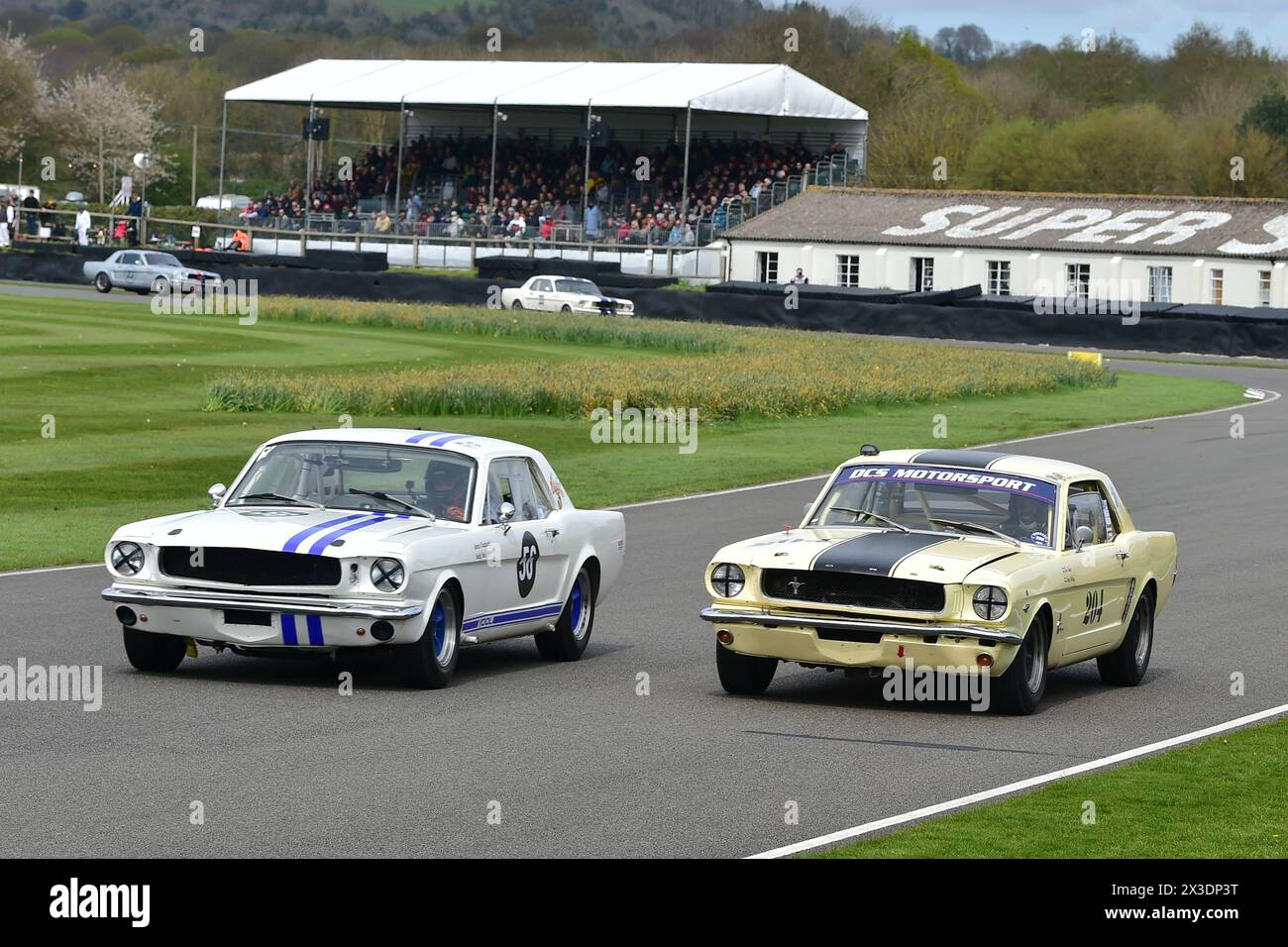Andrew Yool, Jamie Chadwick, Ford Mustang, Bas Jansen, Kevin Abbring ...
