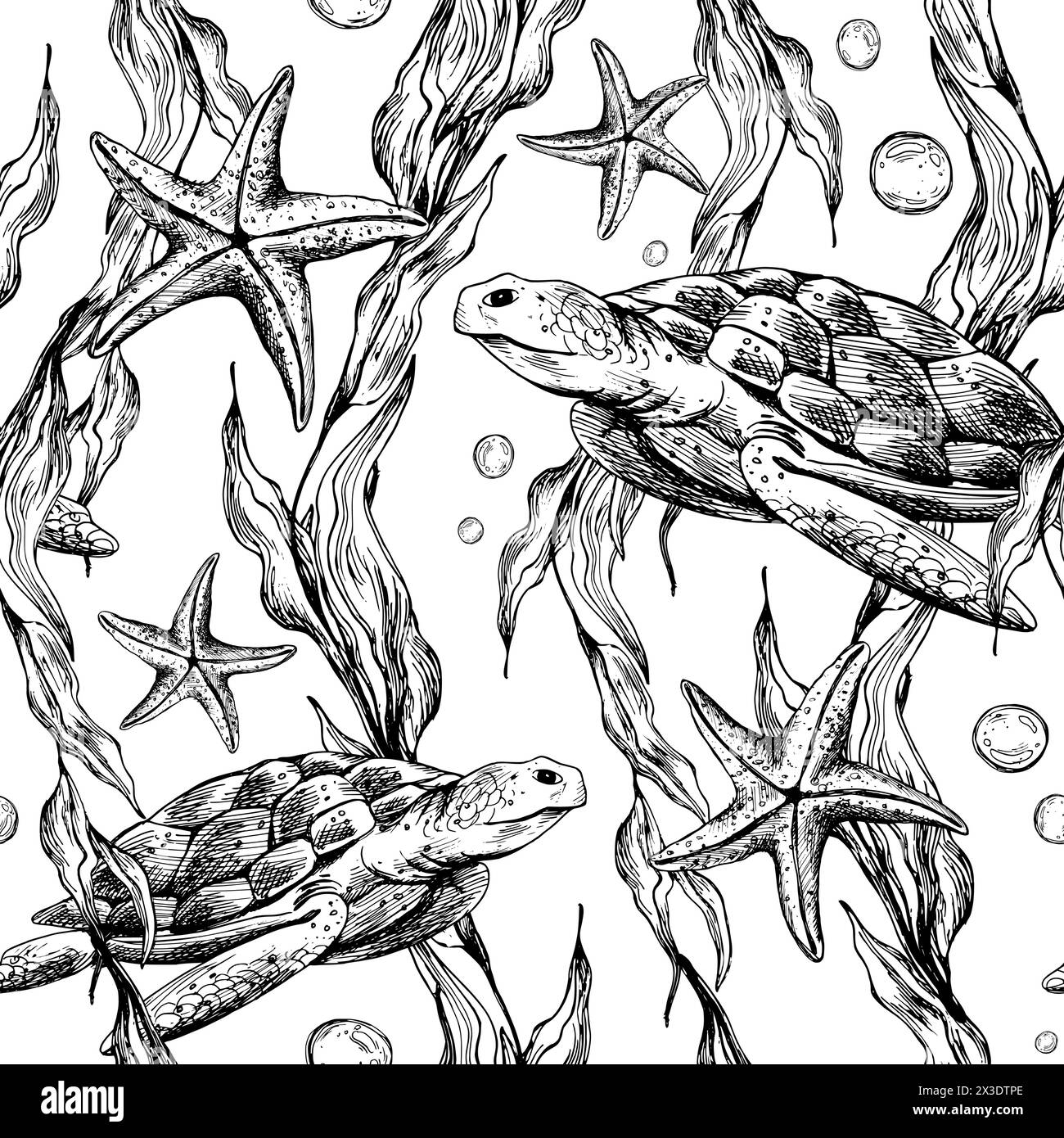 Underwater world clipart with sea animals whale, turtle, octopus ...