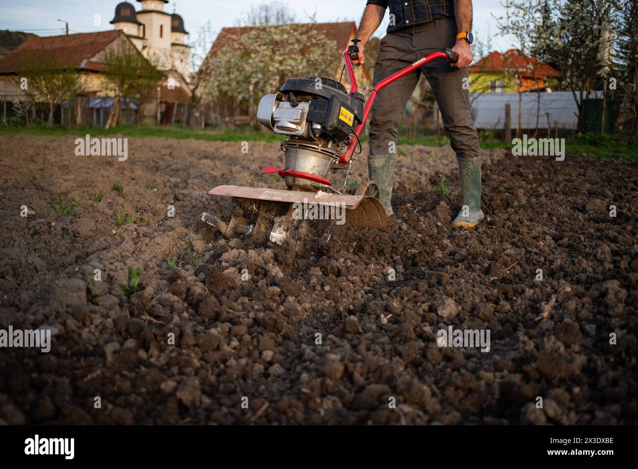 organic farming man ploughs the ground at sunset with a tiller ...