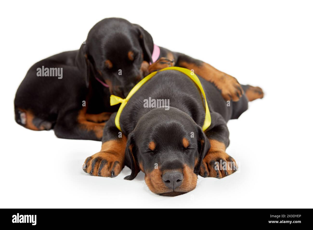 Two happy little Cut Out Stock Images & Pictures - Alamy