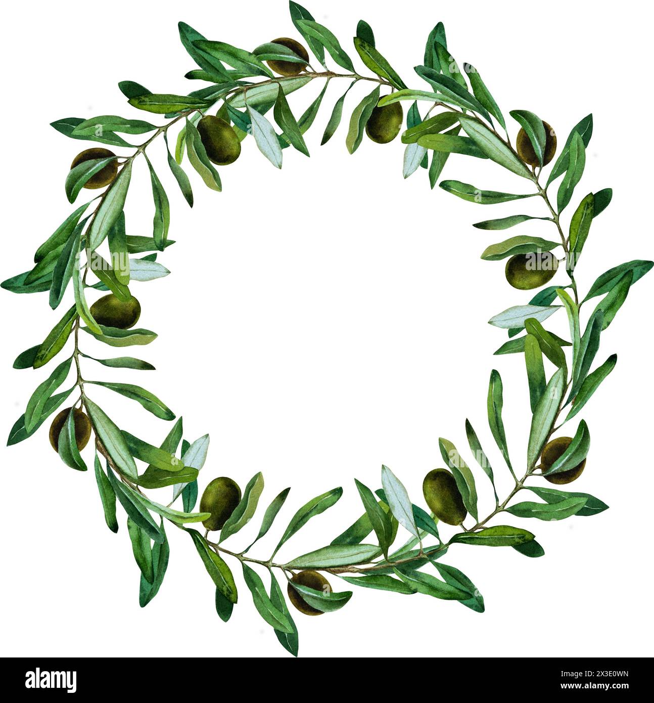 Wreath, round frame, Olive tree branch, leaves and flowers, watercolor ...
