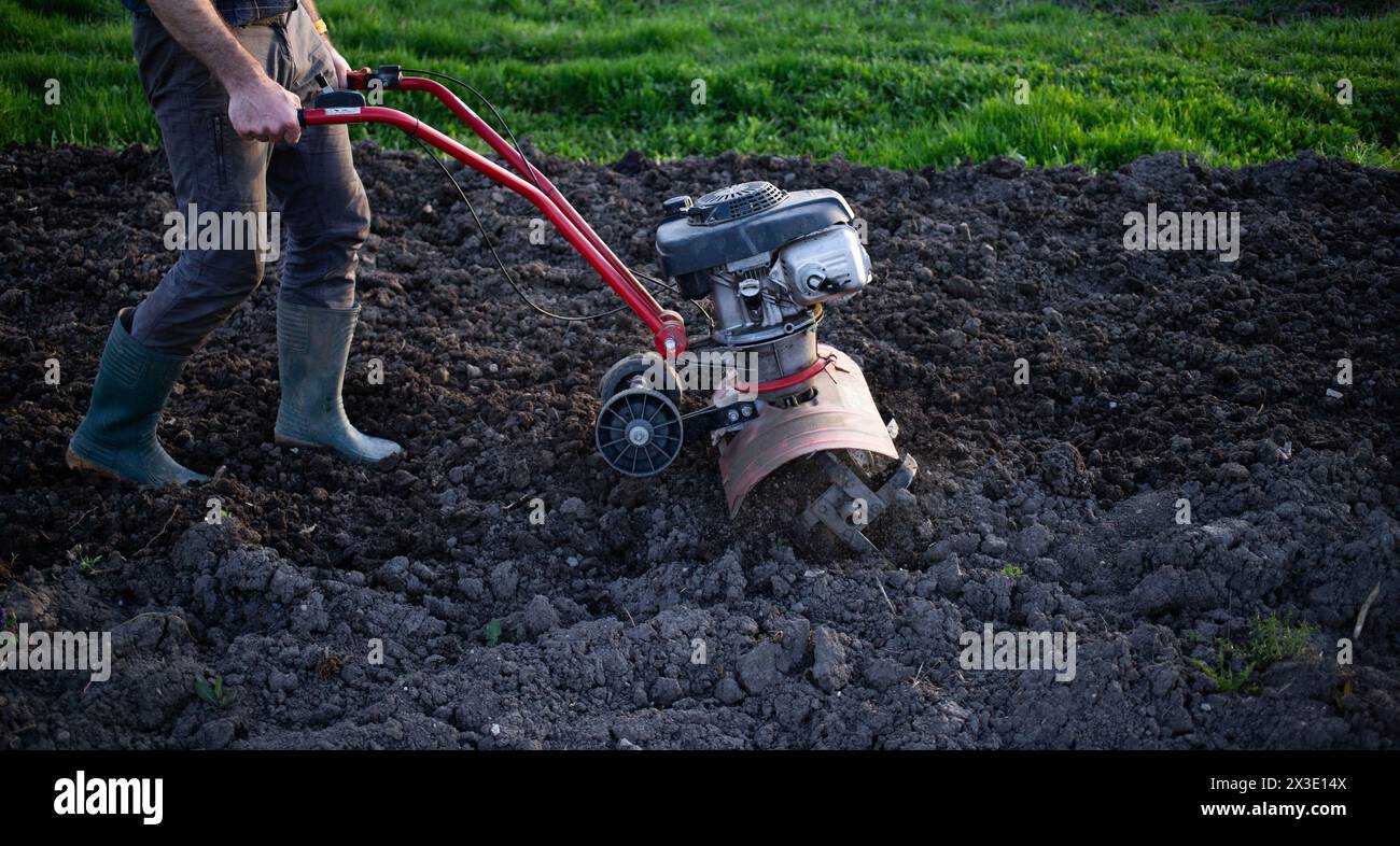 organic farming man ploughs the ground at sunset with a tiller ...