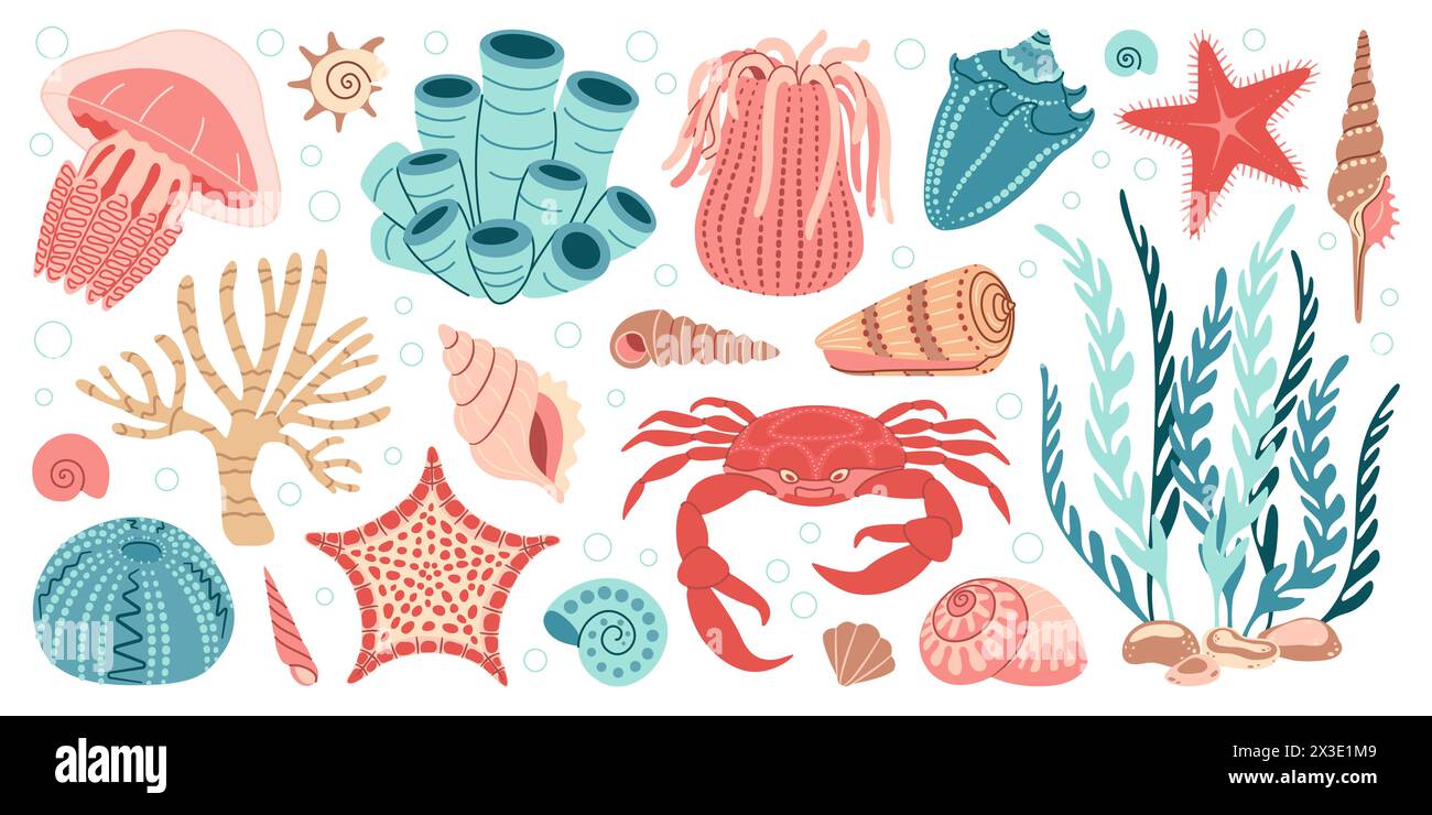 Hand drawn cartoon sea life elements set. Aquatic animals, anemones ...