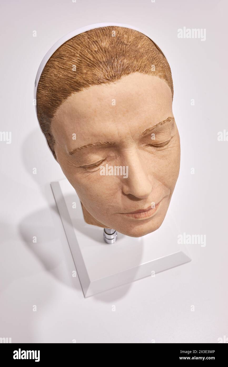 Plastic model mask hi-res stock photography and images - Alamy