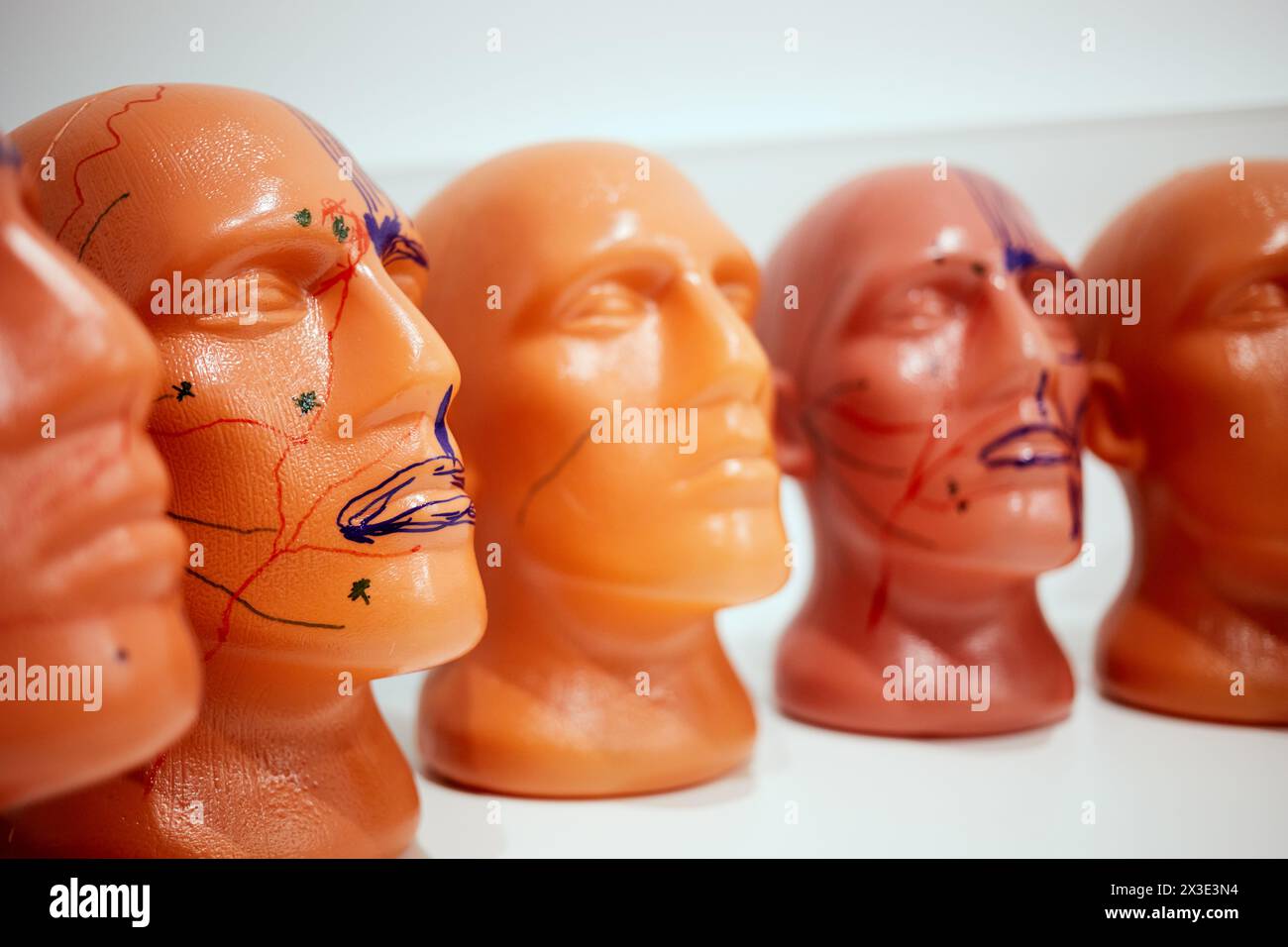 Plastic human heads with cosmetology marking on table Stock Photo - Alamy