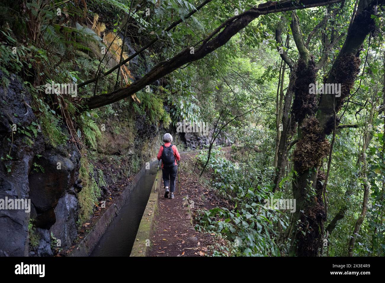 Walking along levada in hi-res stock photography and images - Alamy