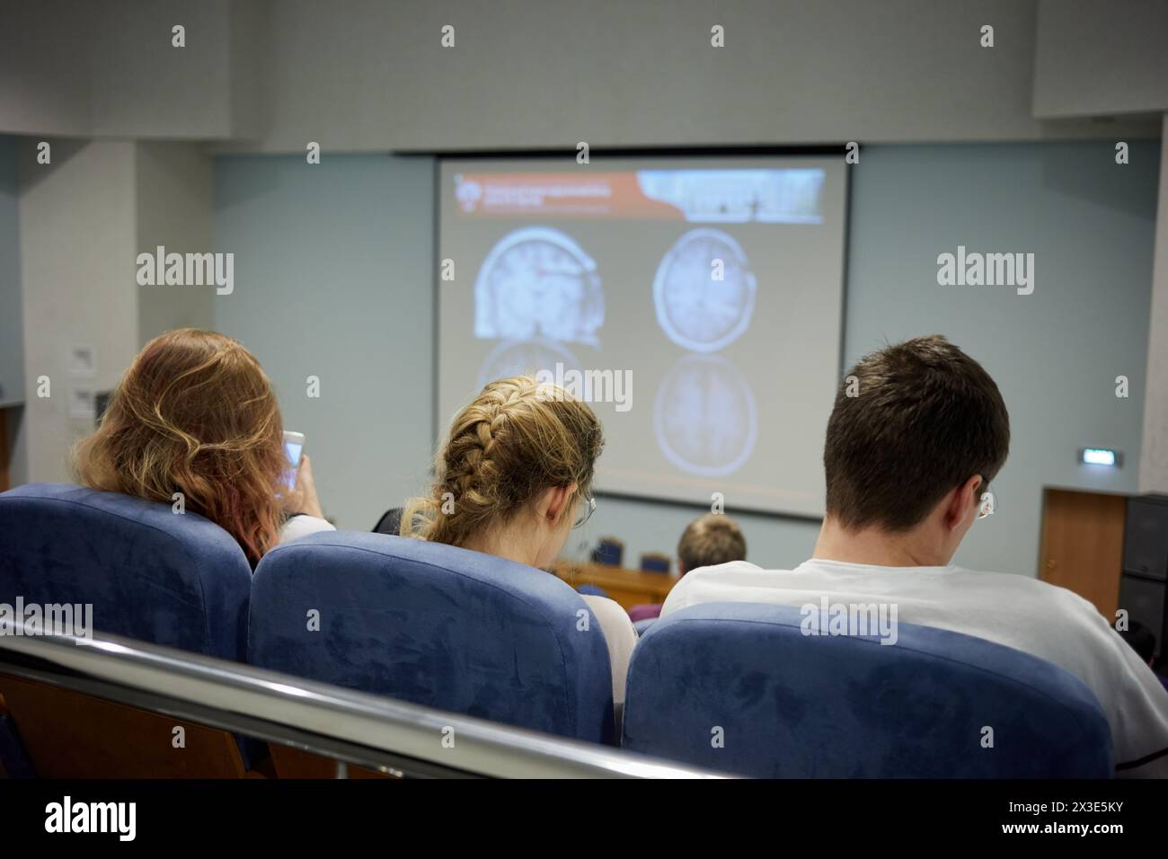 People sit in conference room, rear view Stock Photo - Alamy