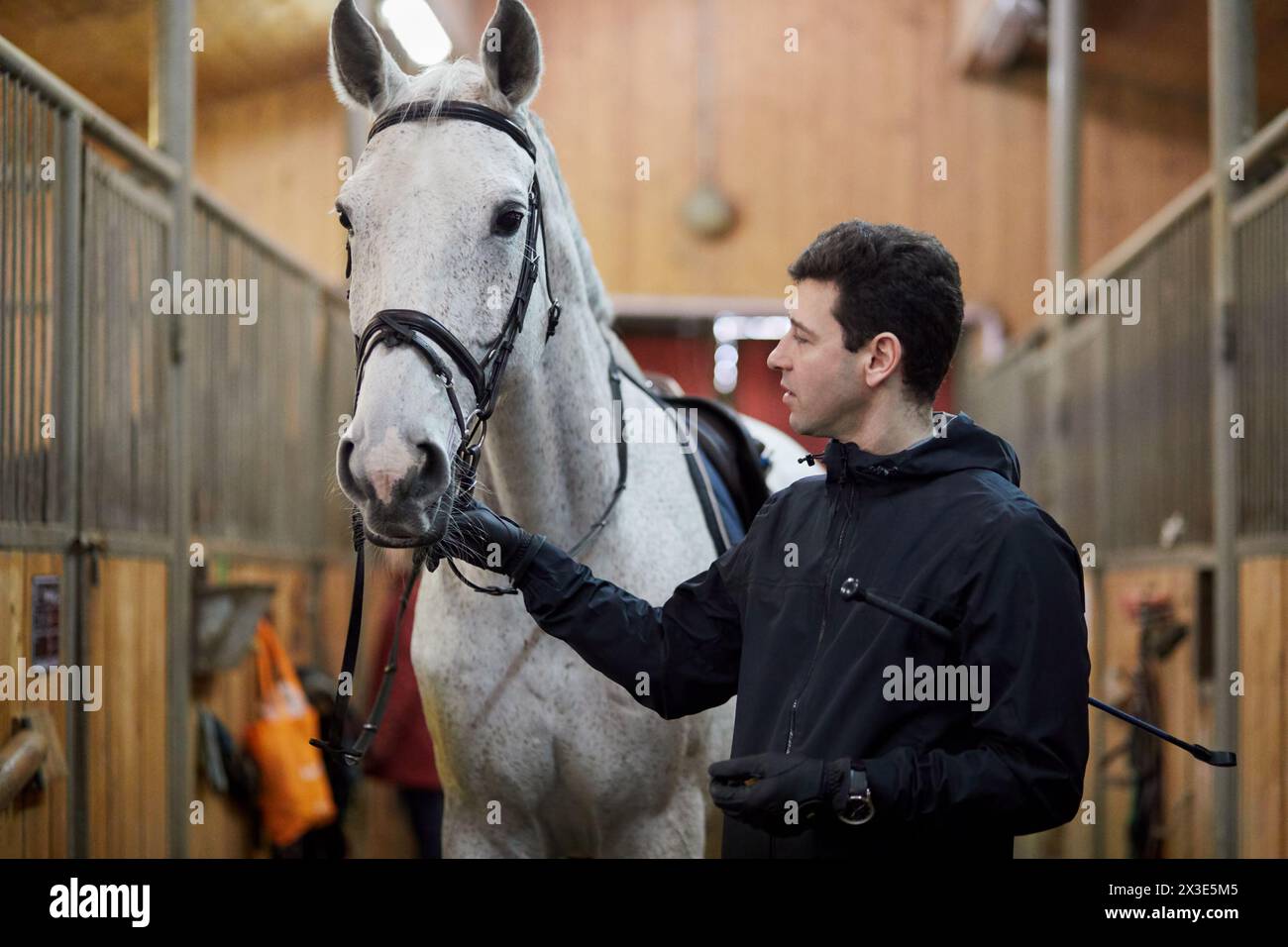 Man holds white horse by bridle in riding stables Stock Photo - Alamy