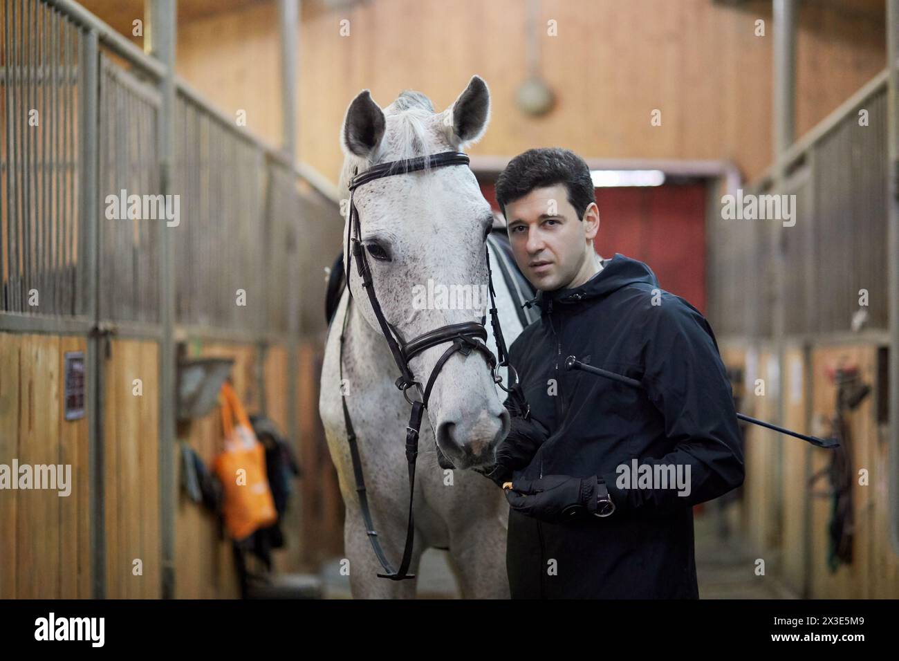 Man holds horse by bridle in riding stables Stock Photo - Alamy