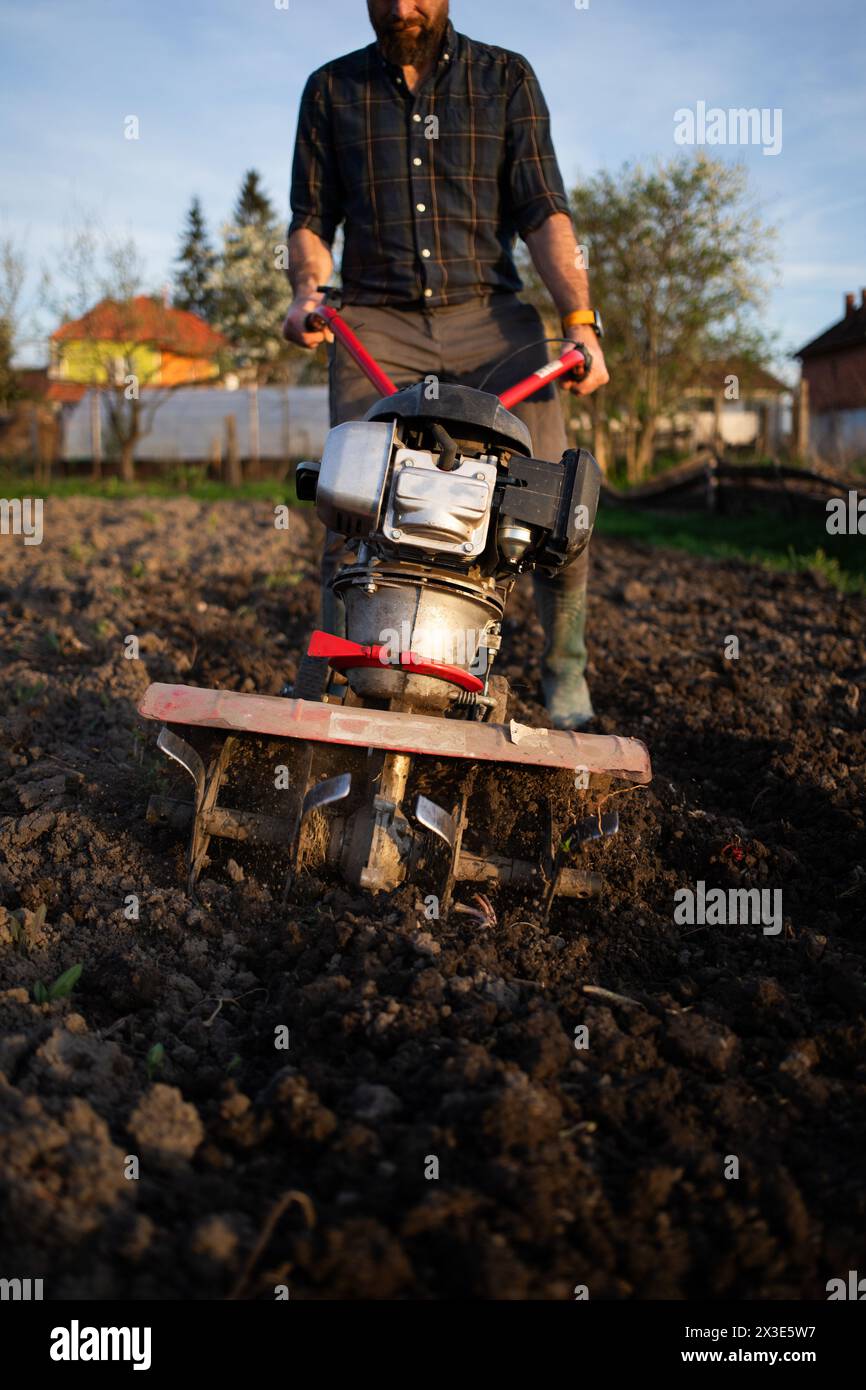 organic farming man ploughs the ground at sunset with a tiller ...