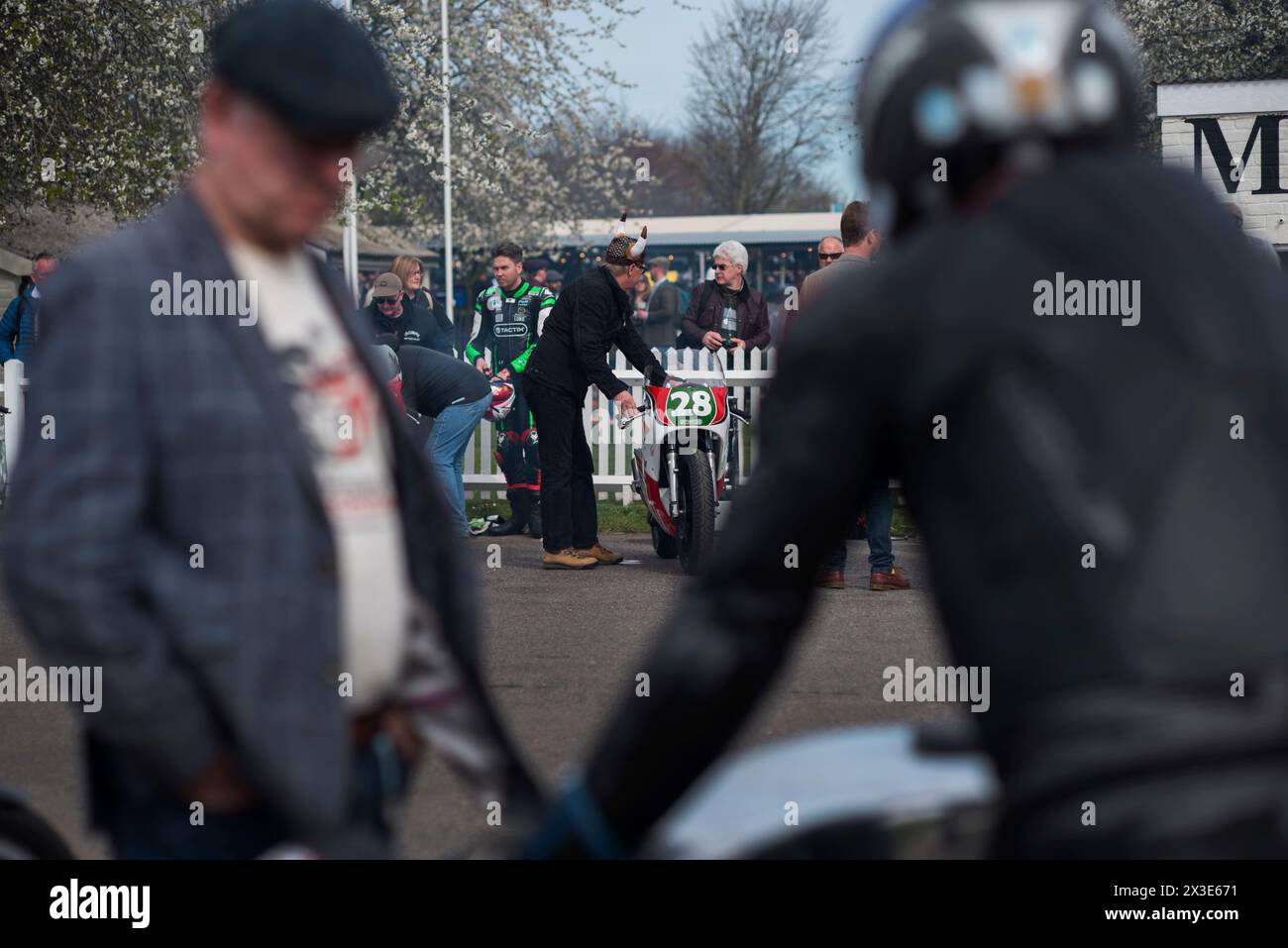 1984 Yamaha TZ250L of Mark Linton, entrant in the Hailwood Trophy at ...
