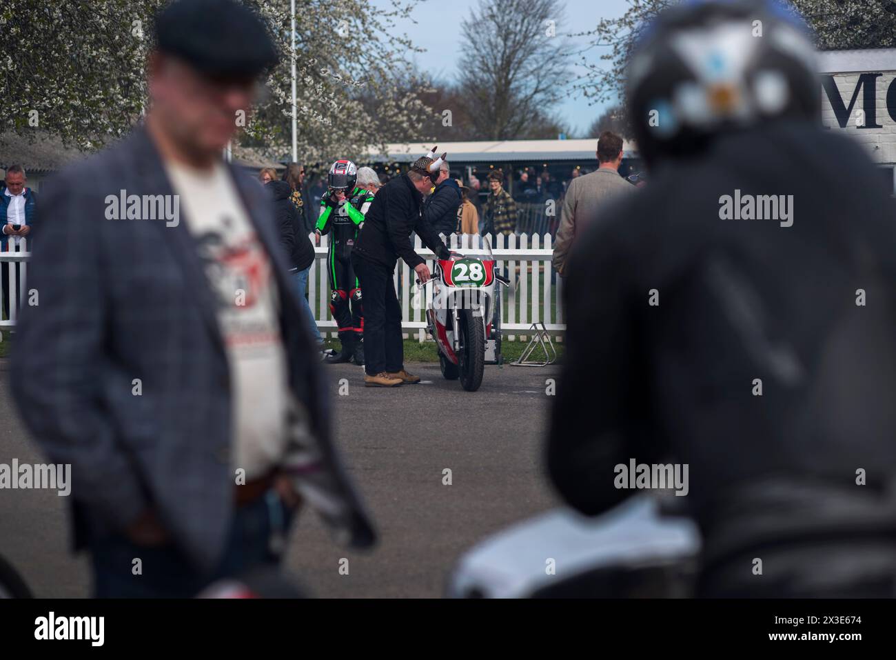 1984 Yamaha TZ250L of Mark Linton, entrant in the Hailwood Trophy at ...