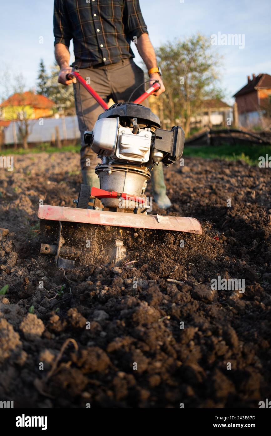 organic farming man ploughs the ground at sunset with a tiller ...