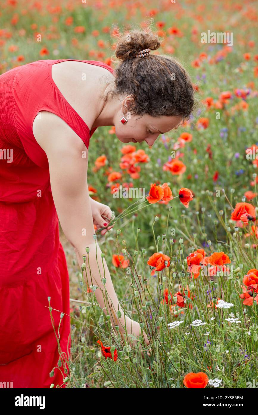 Curly woman in red dress collects bouquet on poppy fiield Stock Photo ...