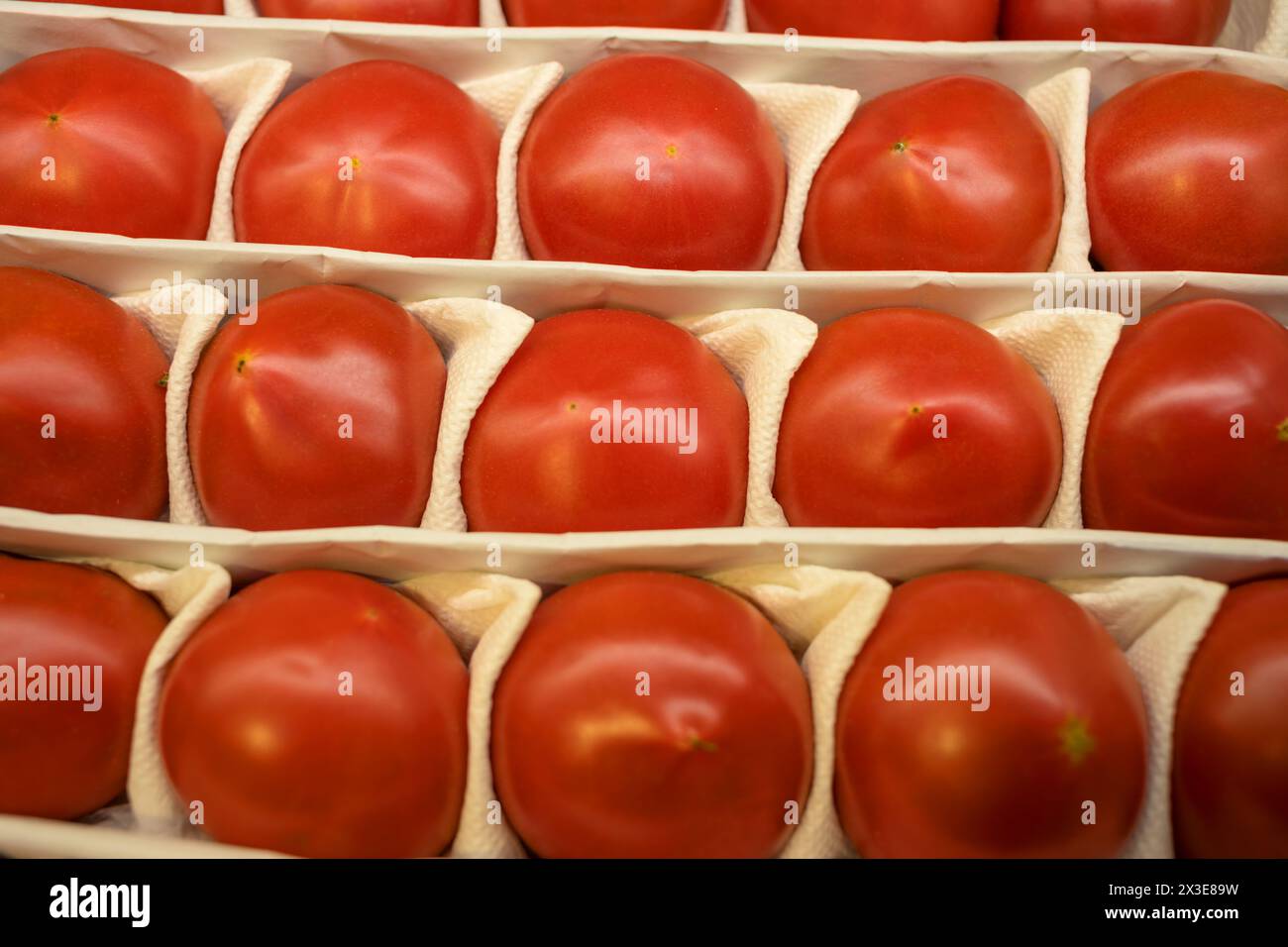 Many fresh red tomatoes in packaging on shelf in shop, close-up Stock ...