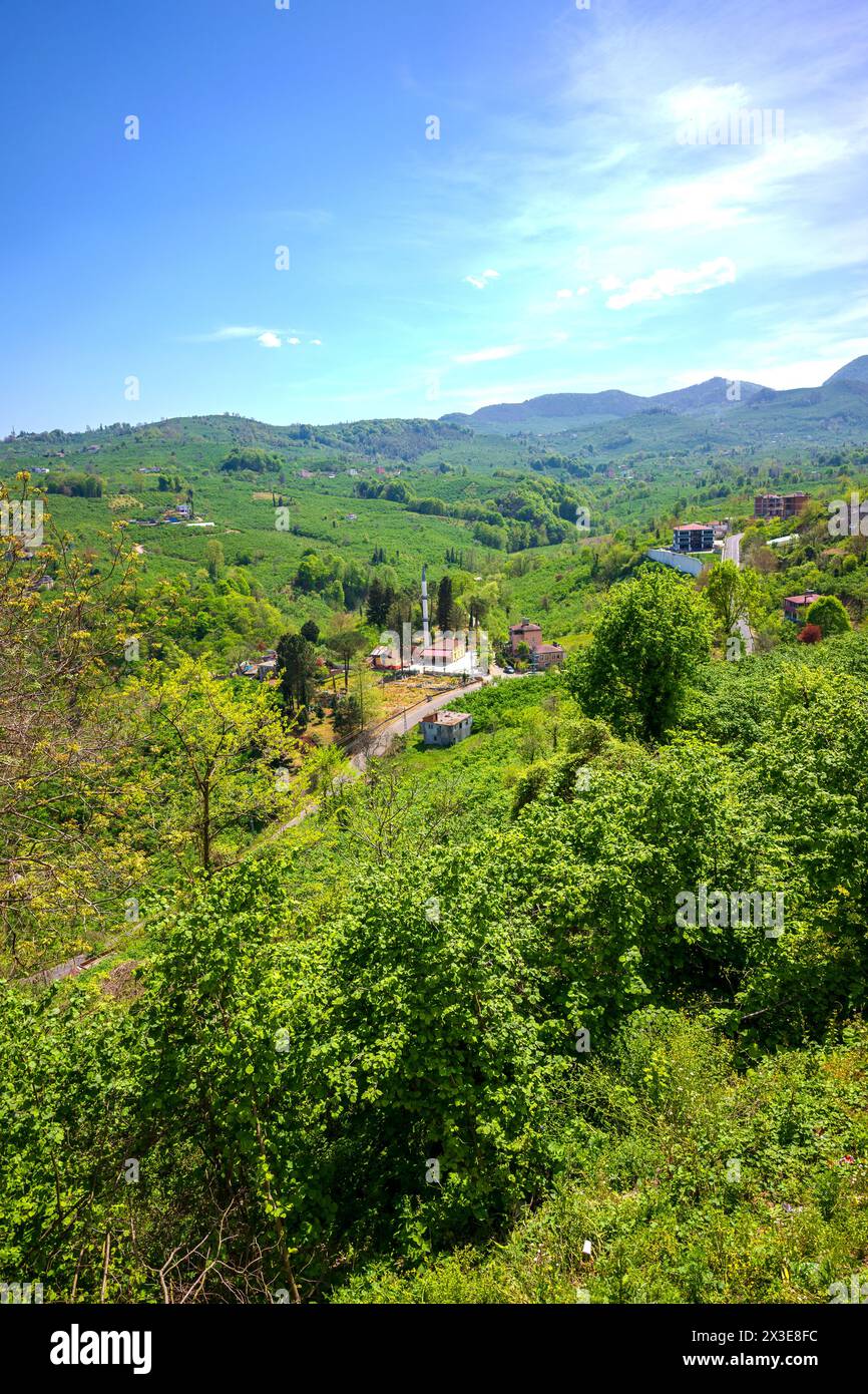 Village amid green woods hi-res stock photography and images - Alamy