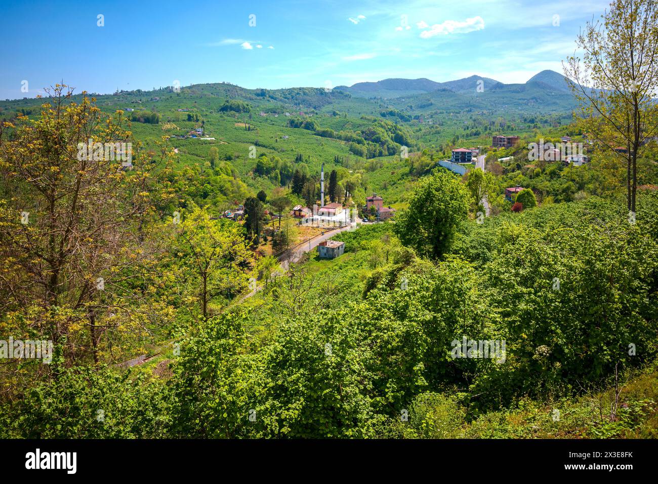 Small Village Amidst Green Forests Stock Photo - Alamy