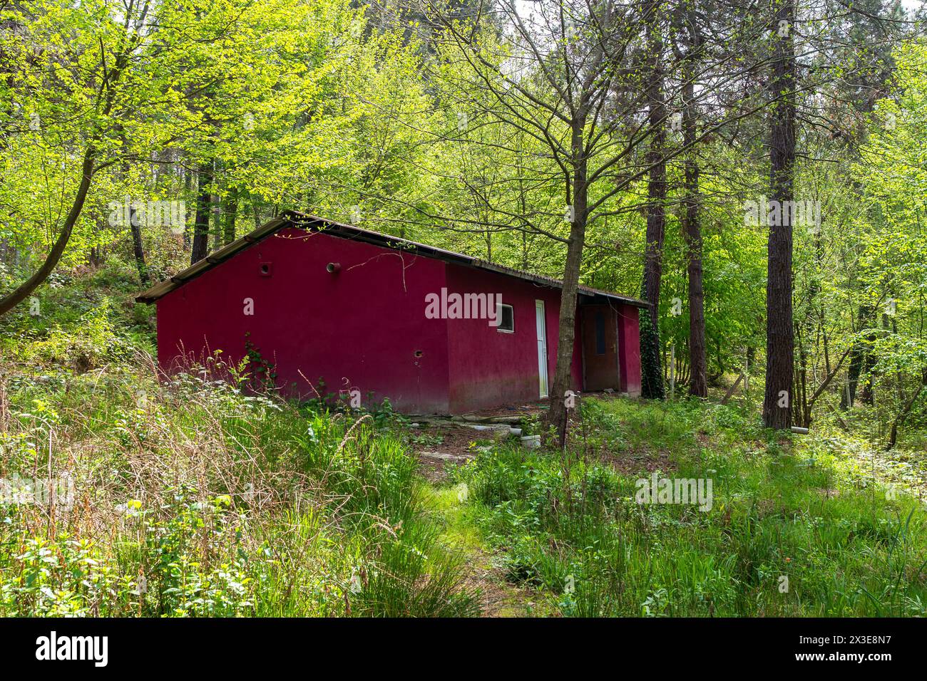 Cottage house surrounded trees in hi-res stock photography and images ...