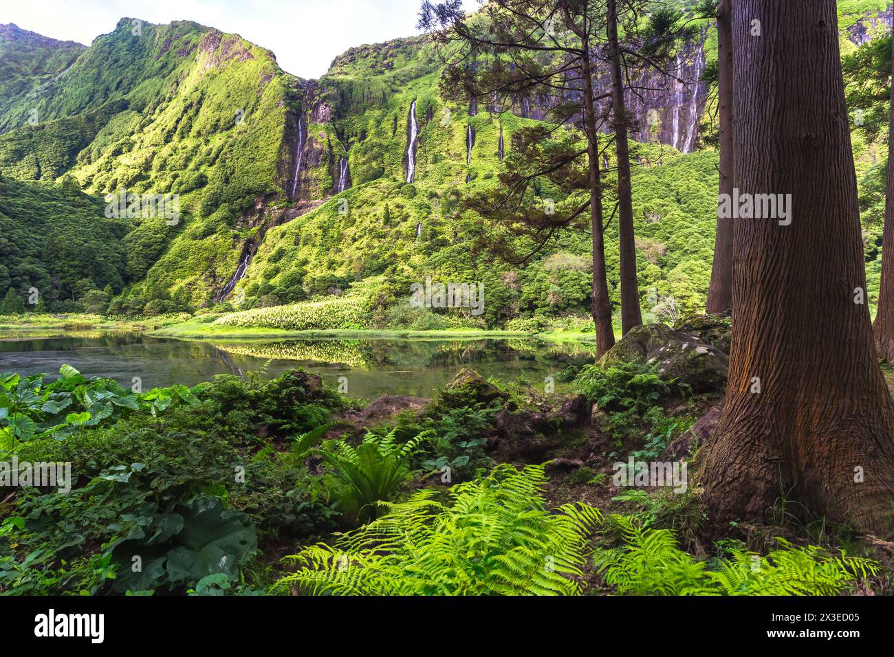 Azores landscape with waterfalls and cliffs in Flores island, Poco da ...