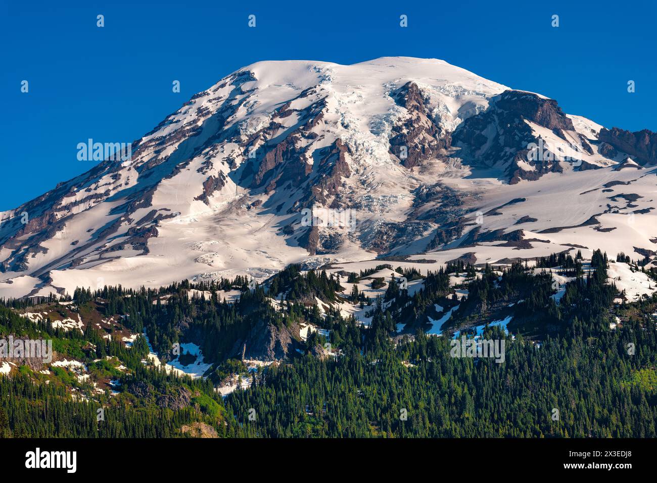 Paradise area at Mount Rainier National Park, Washington State, USA ...