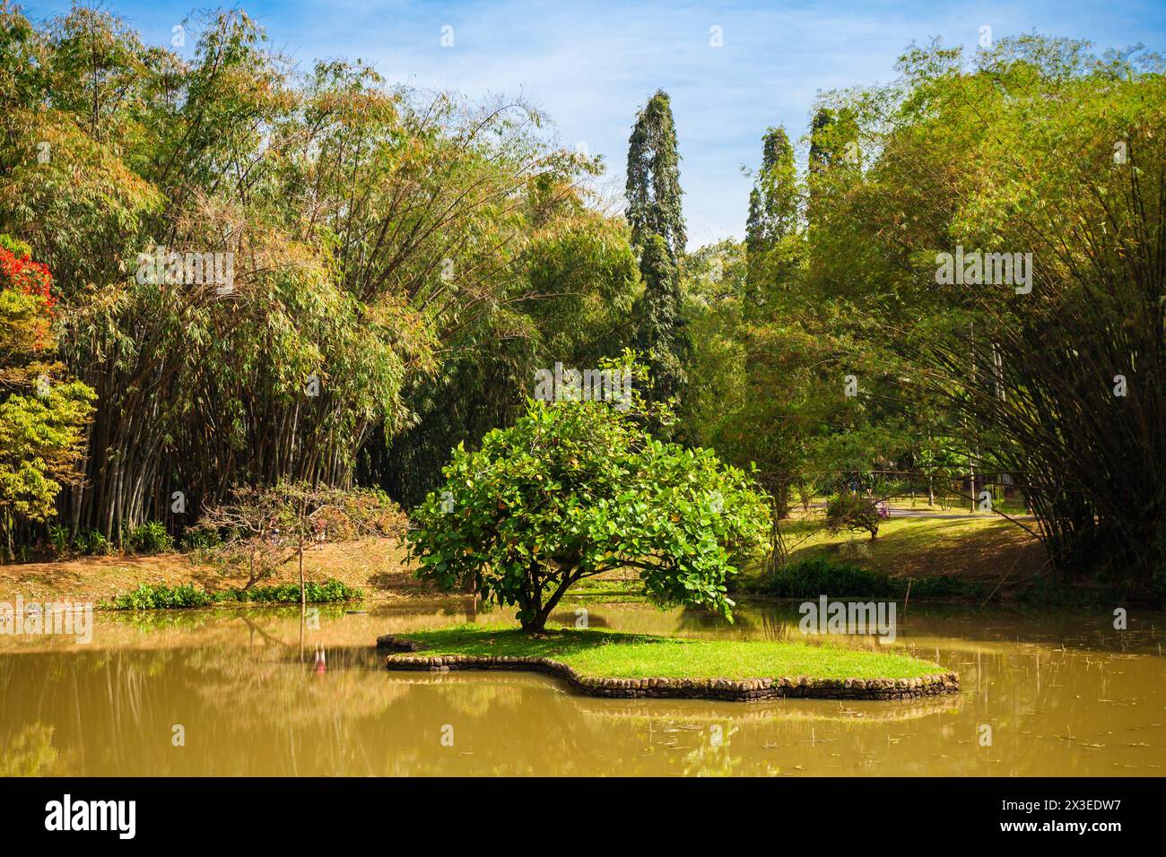 Peradeniya Royal Botanic Gardens located near Kandy city, Sri Lanka ...