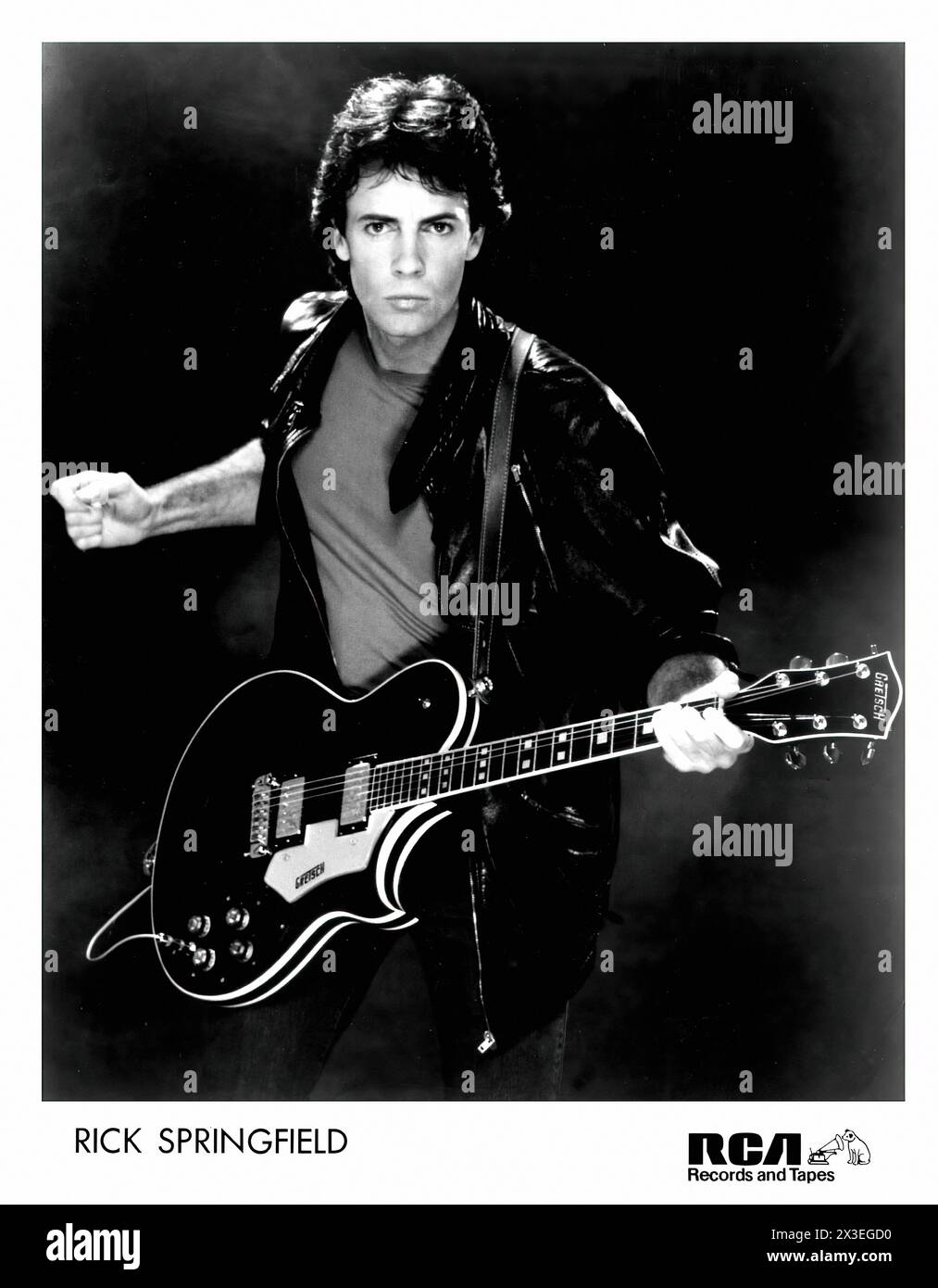 Rick Springfield - Vintage music label promotional picture ...
