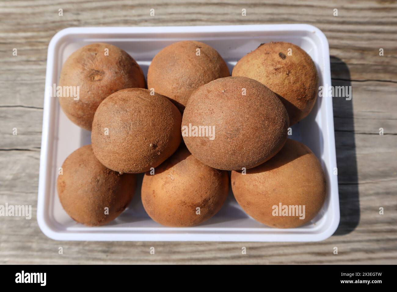 Sapota fruit or Chikoo fruit, sweet in taste. Sapodilla is tropical ...