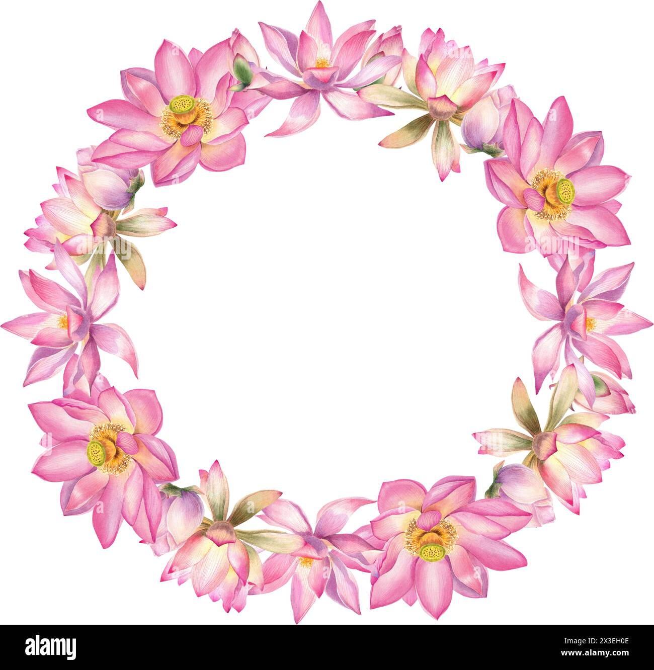 Watercolor, wreath, lotus, pink flower, illustration, round frame, hand ...