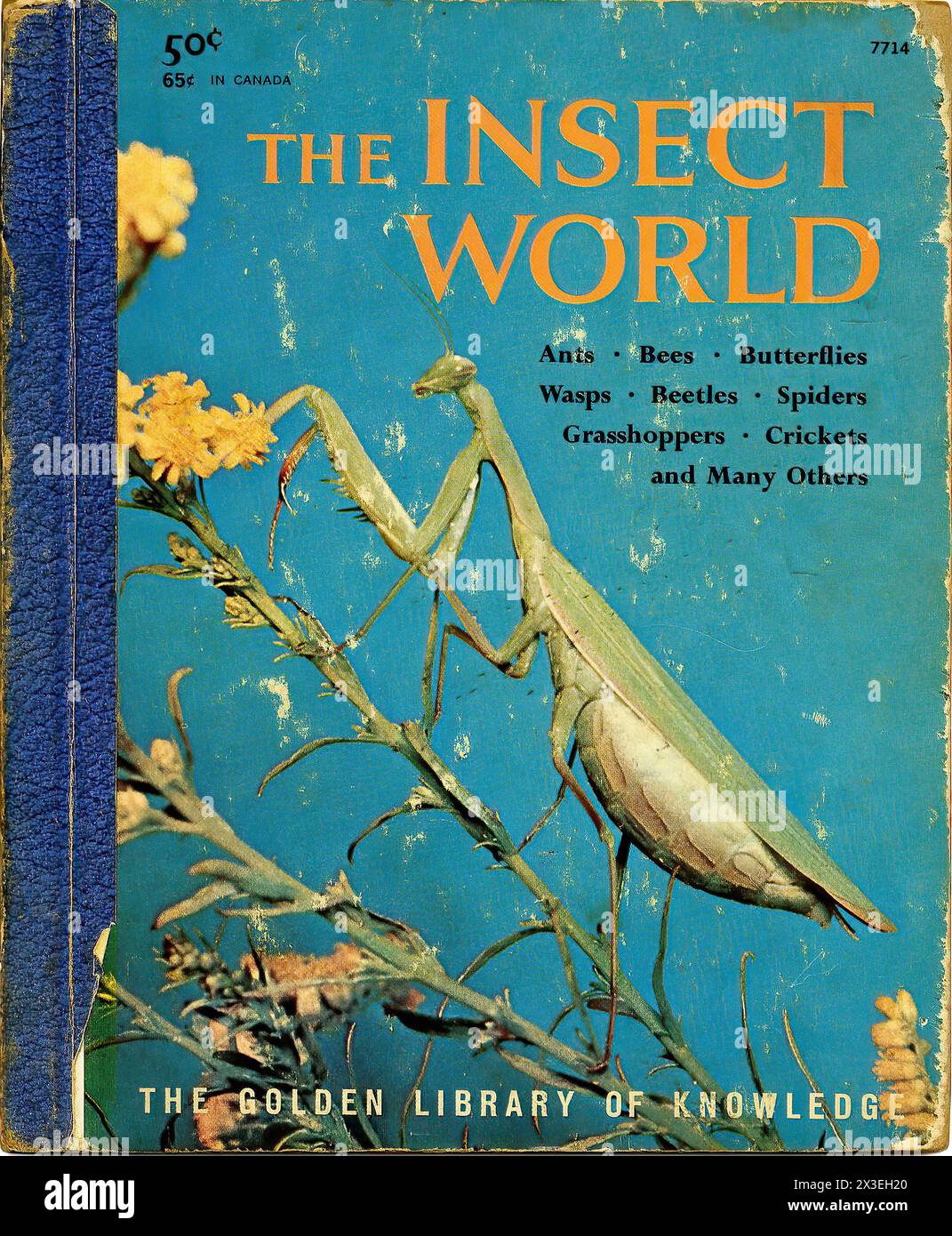 The Insect World - Vintage american illustrated publication cover Stock ...