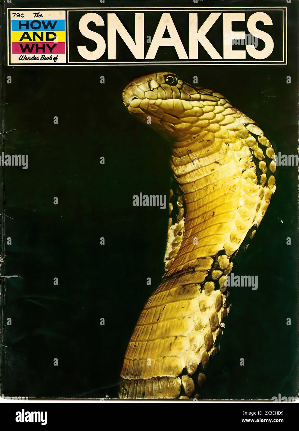 Snakes - Vintage american illustrated publication cover Stock Photo - Alamy