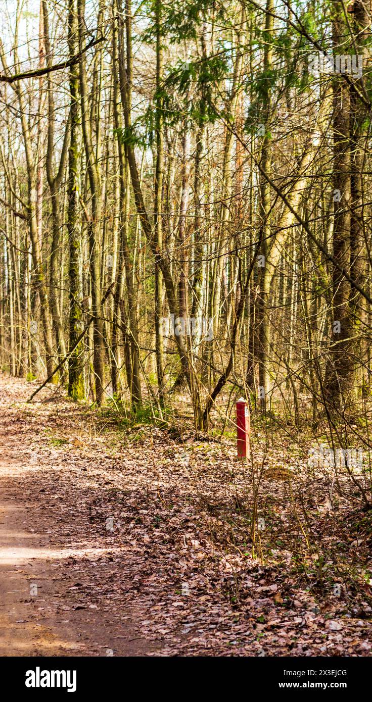 Red pole in the forest marking borders of the territory Stock Photo - Alamy
