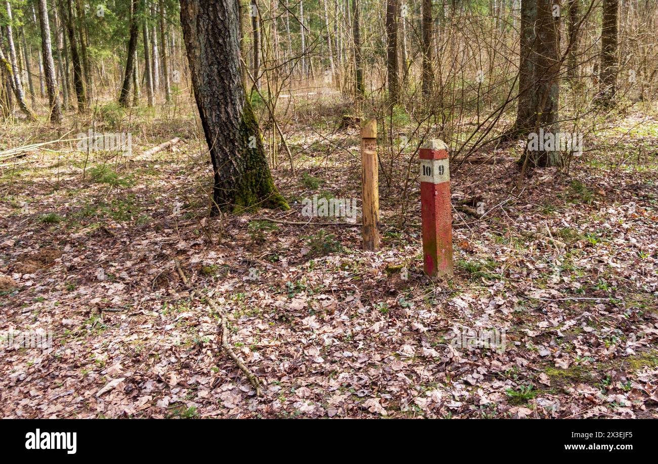 Red pole in the forest marking borders of the territory Stock Photo - Alamy