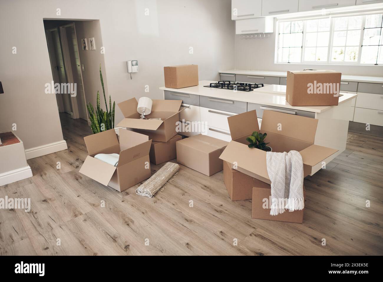 Room, boxes and relocation for moving, apartment and new home with ...
