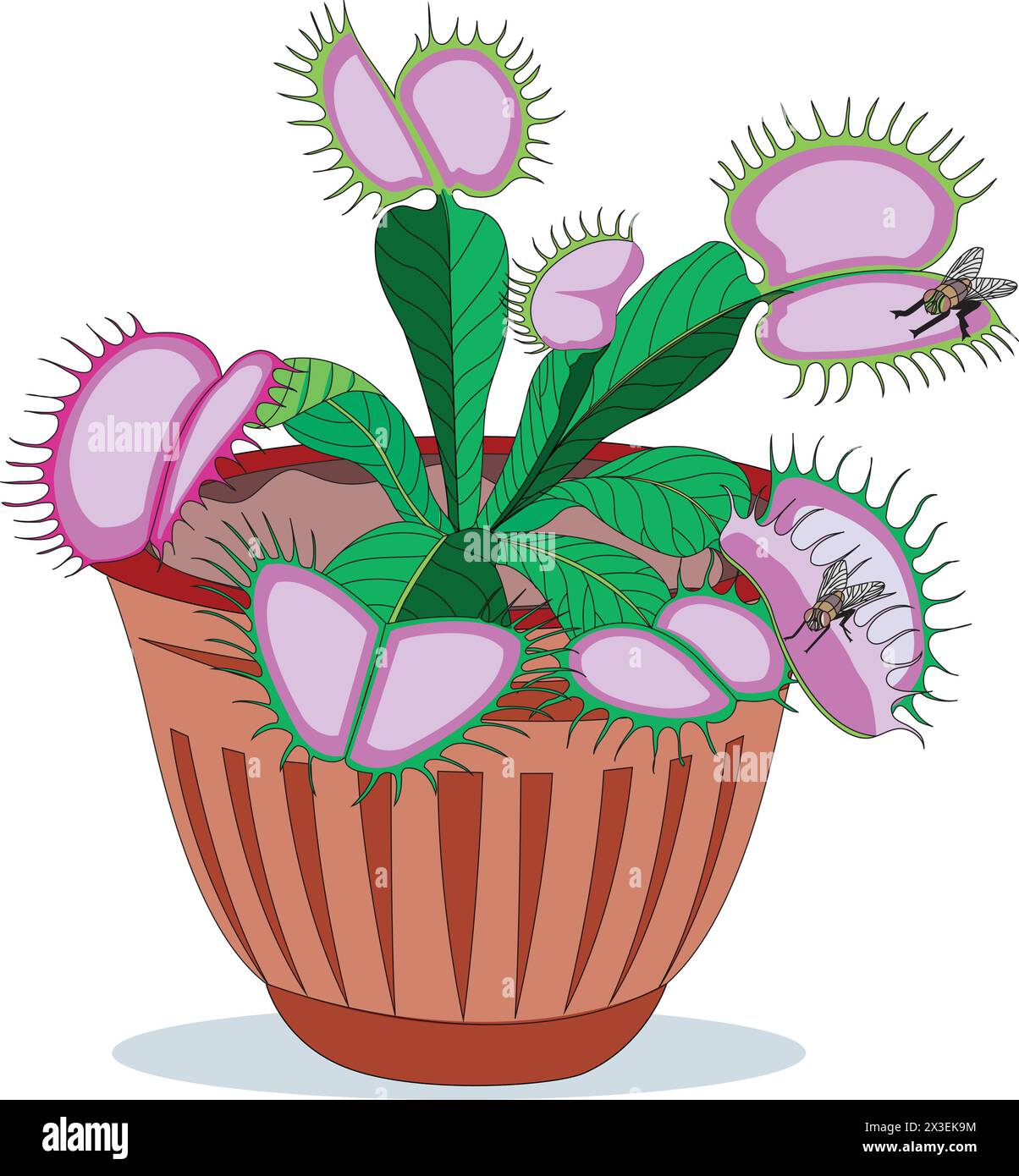 Cactus plants in dry Stock Vector Images - Alamy