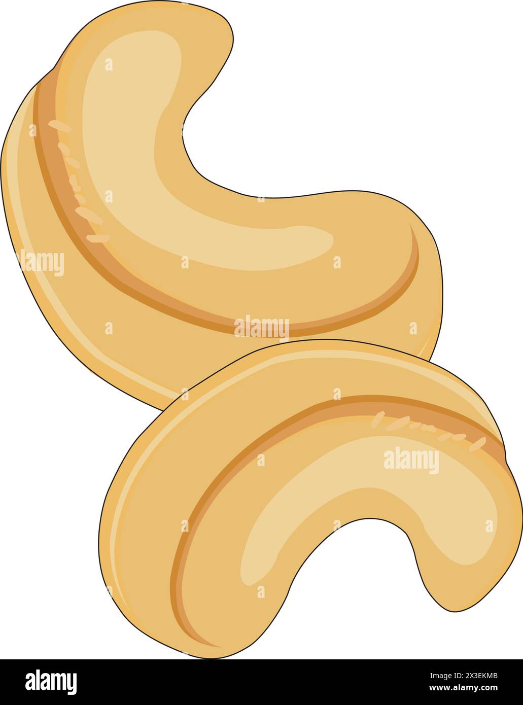 Cashew nuts vector illustration Stock Vector Image & Art - Alamy Cashew nuts vector illustration Stock Vector Image & Art - Alamy