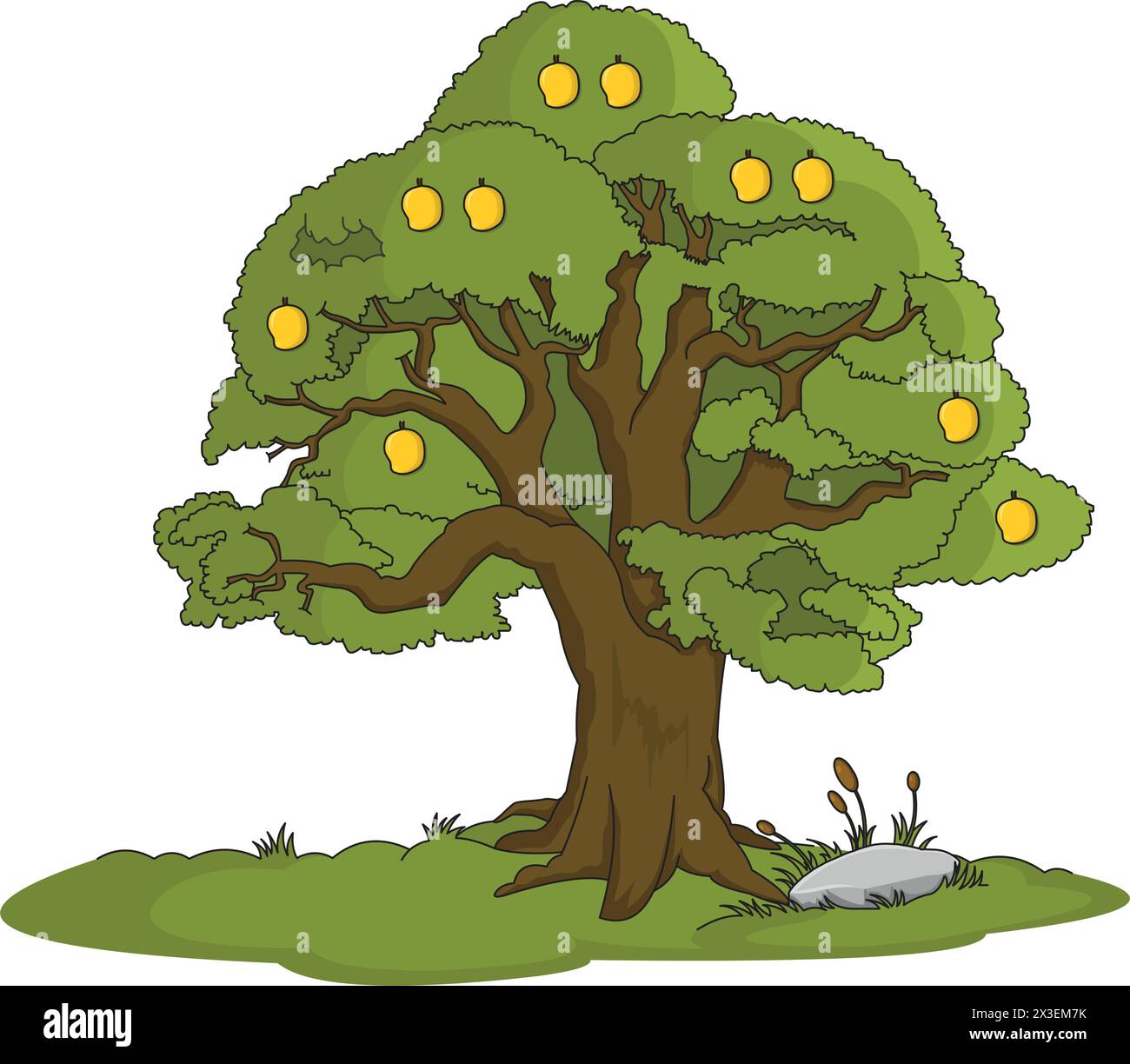 Mango tree vector illustration Stock Vector Image & Art - Alamy